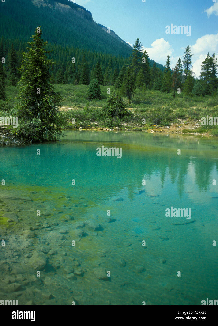 Ink Pots natural springs in Banff National Park Canada Stock Photo - Alamy