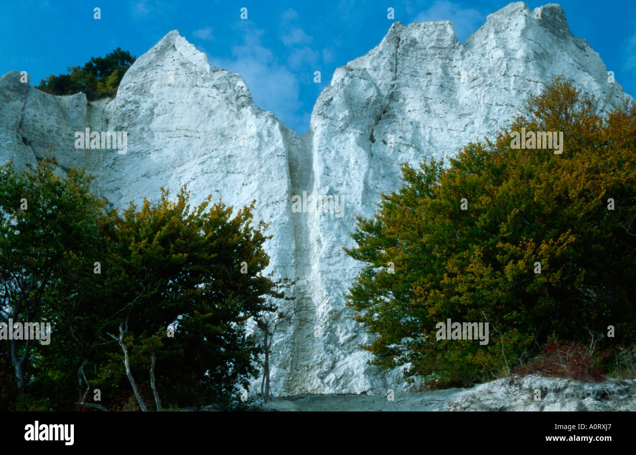 Chalk Cliff Coast / Moen's Klint / Kreidefelsenkueste Stock Photo - Alamy
