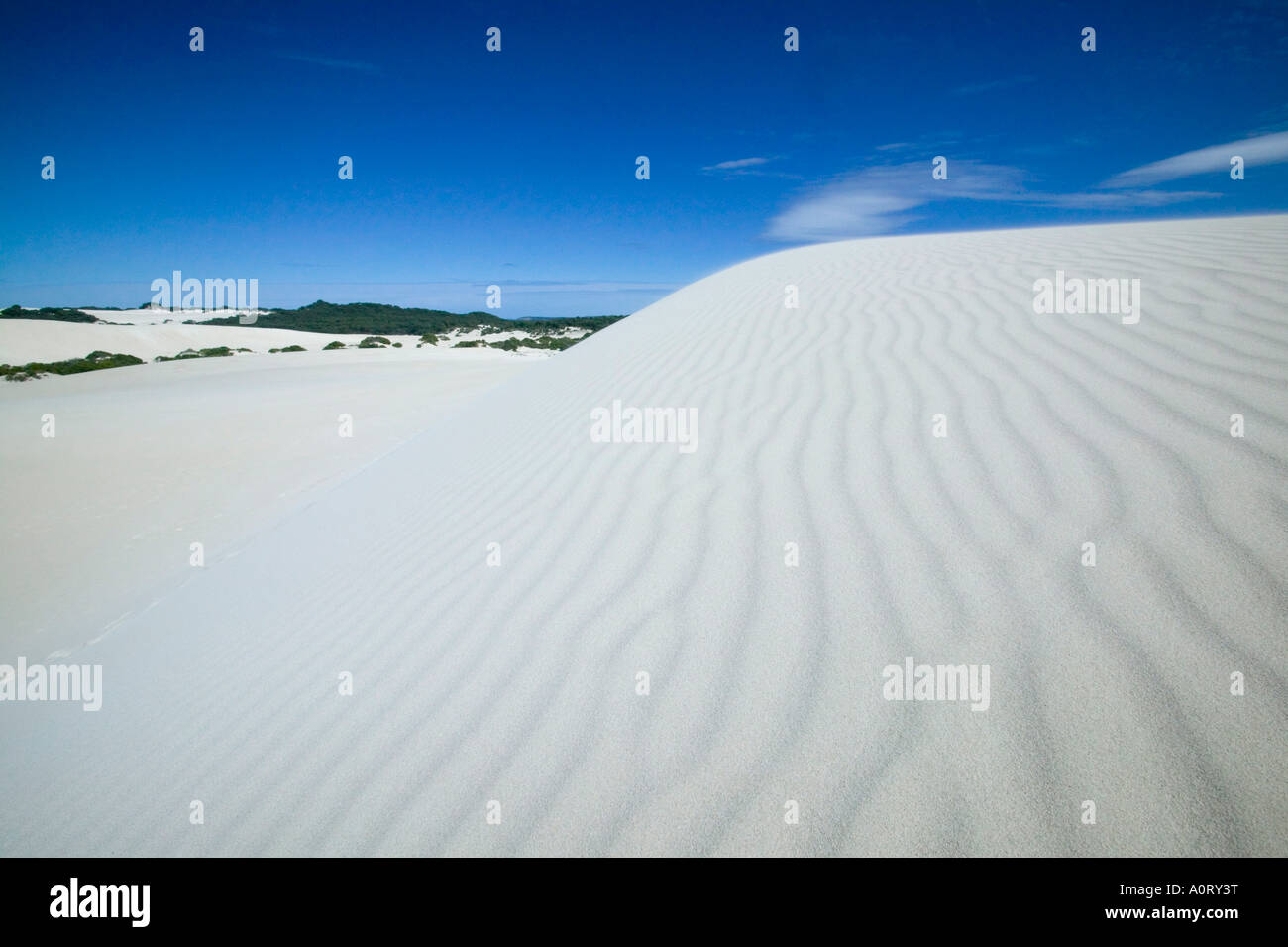 Australia little sandy desert hi-res stock photography and images - Alamy