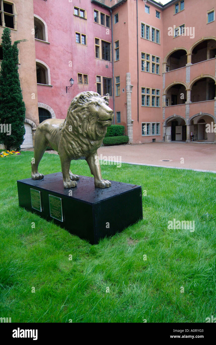 Lion Sculpture / Lyon Stock Photo - Alamy
