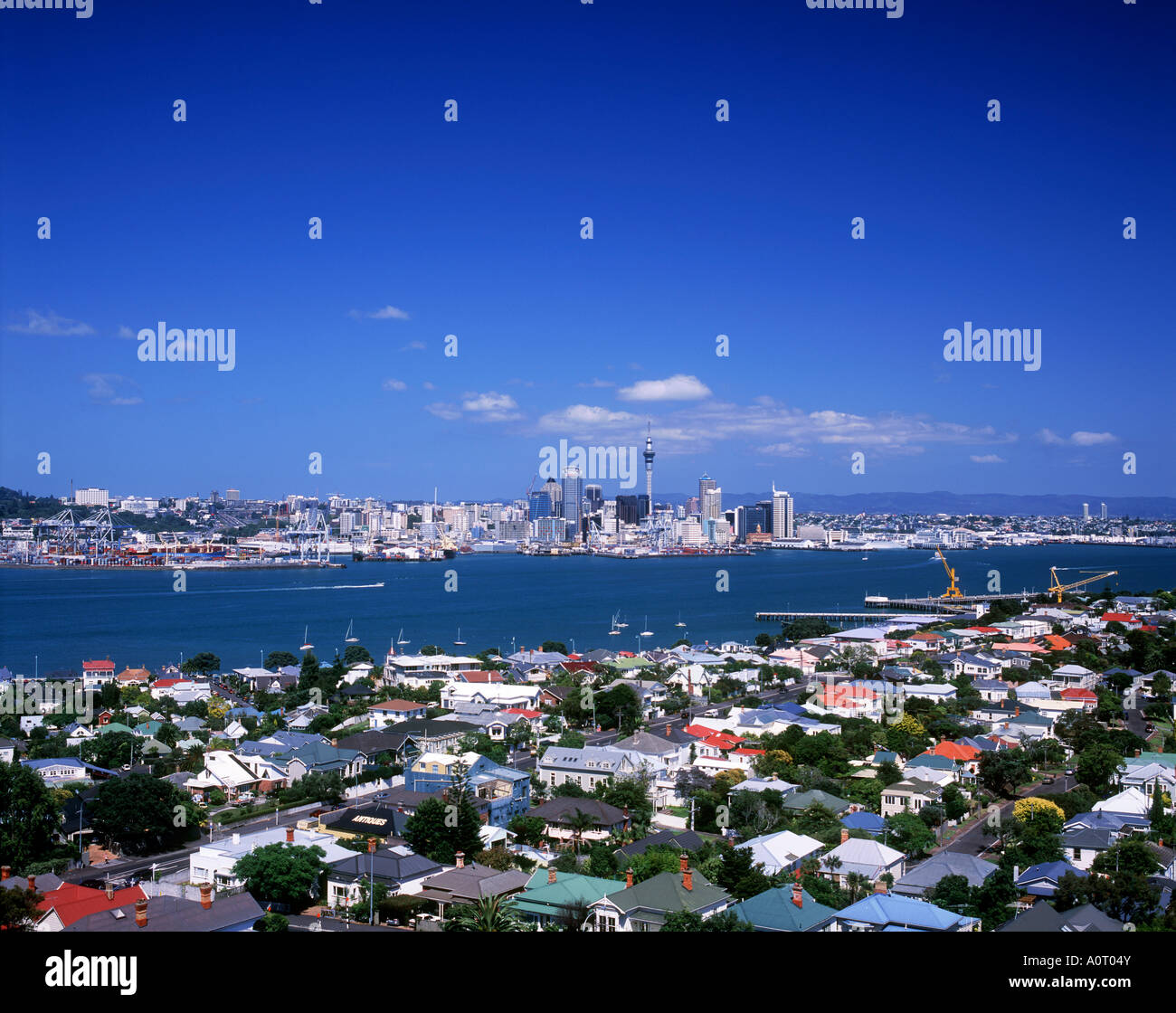 City of Auckland from Mt Victoria Stock Photo - Alamy