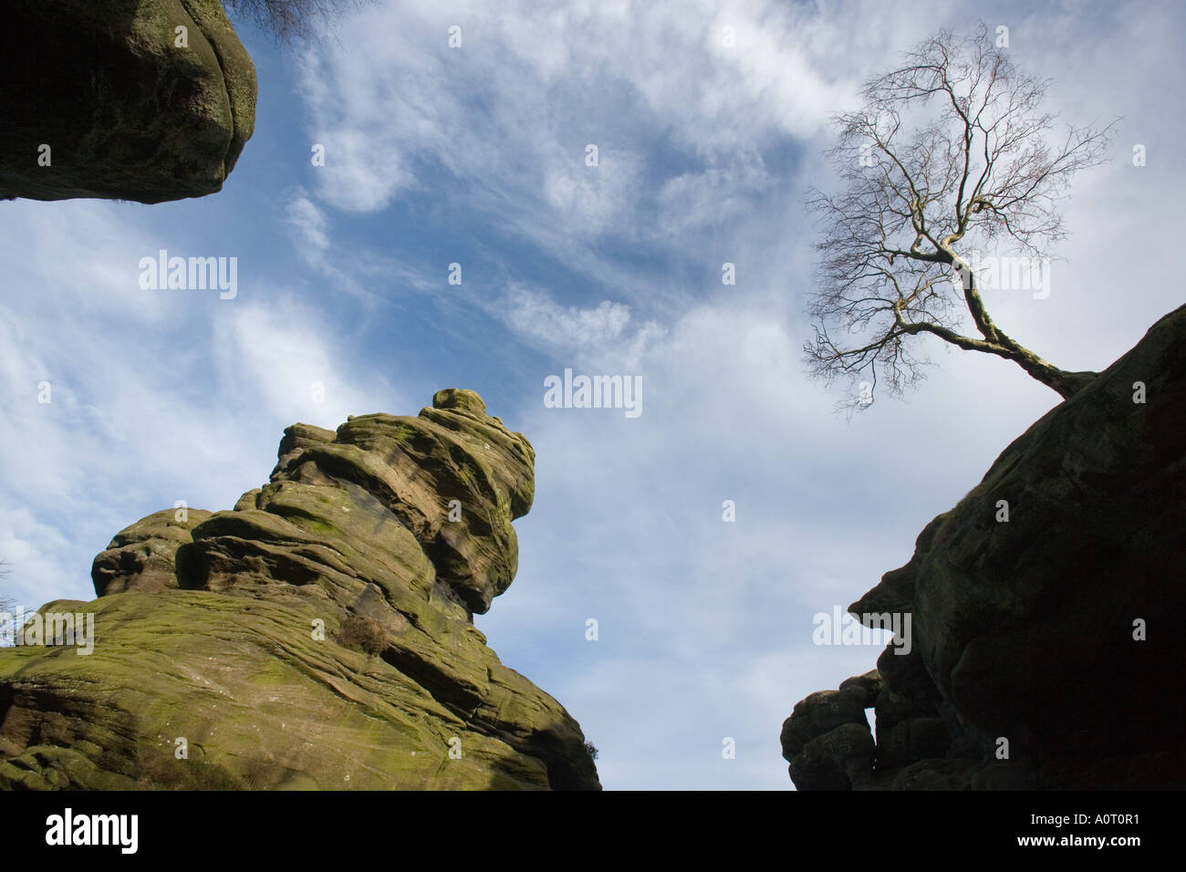 Brimham Rocks North Yorkshire UK England Stock Photo - Alamy