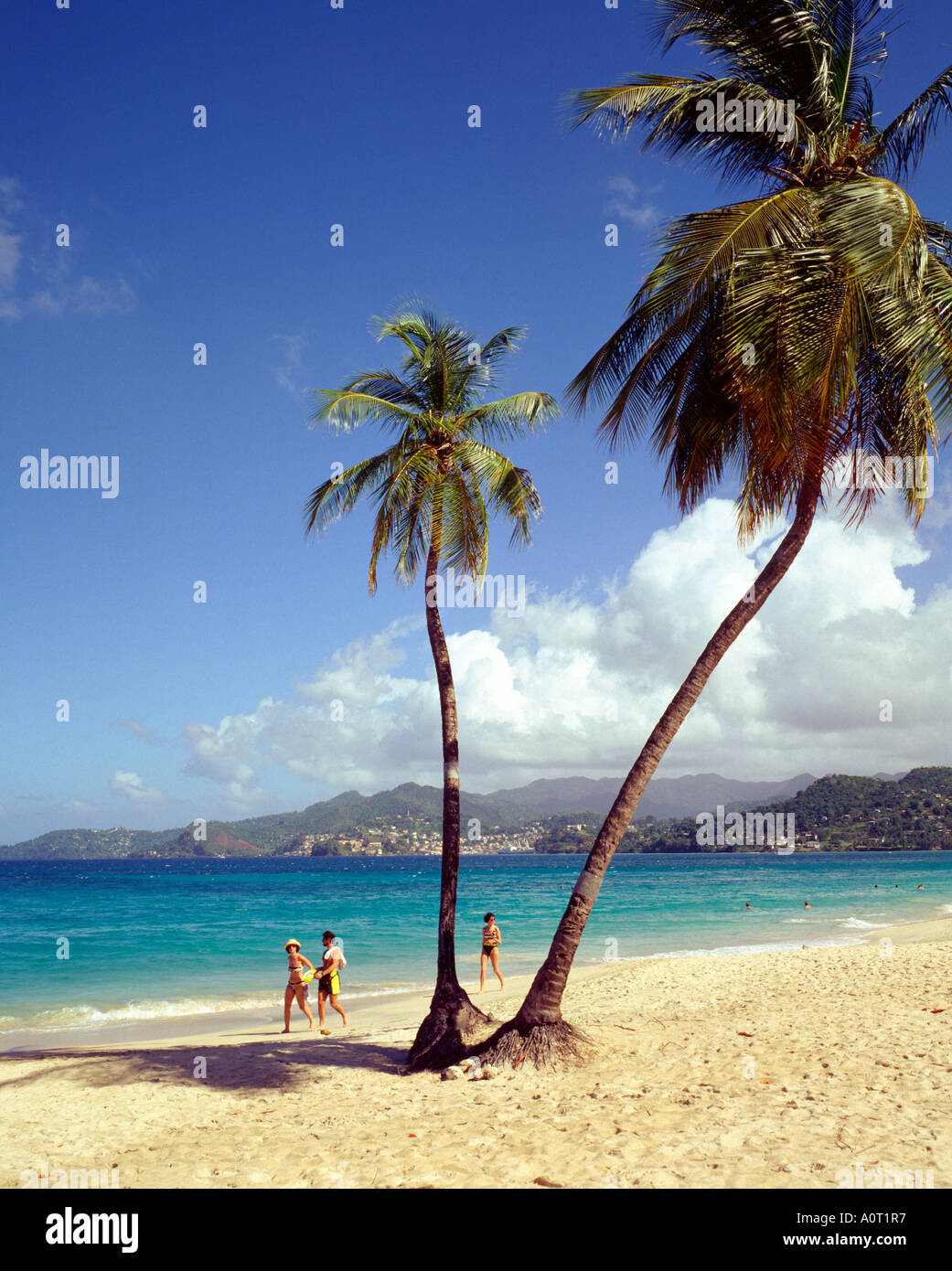 Tropischer strand hi-res stock photography and images - Alamy
