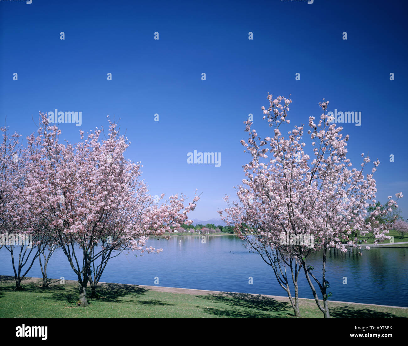Lake balboa los angeles hi-res stock photography and images - Alamy