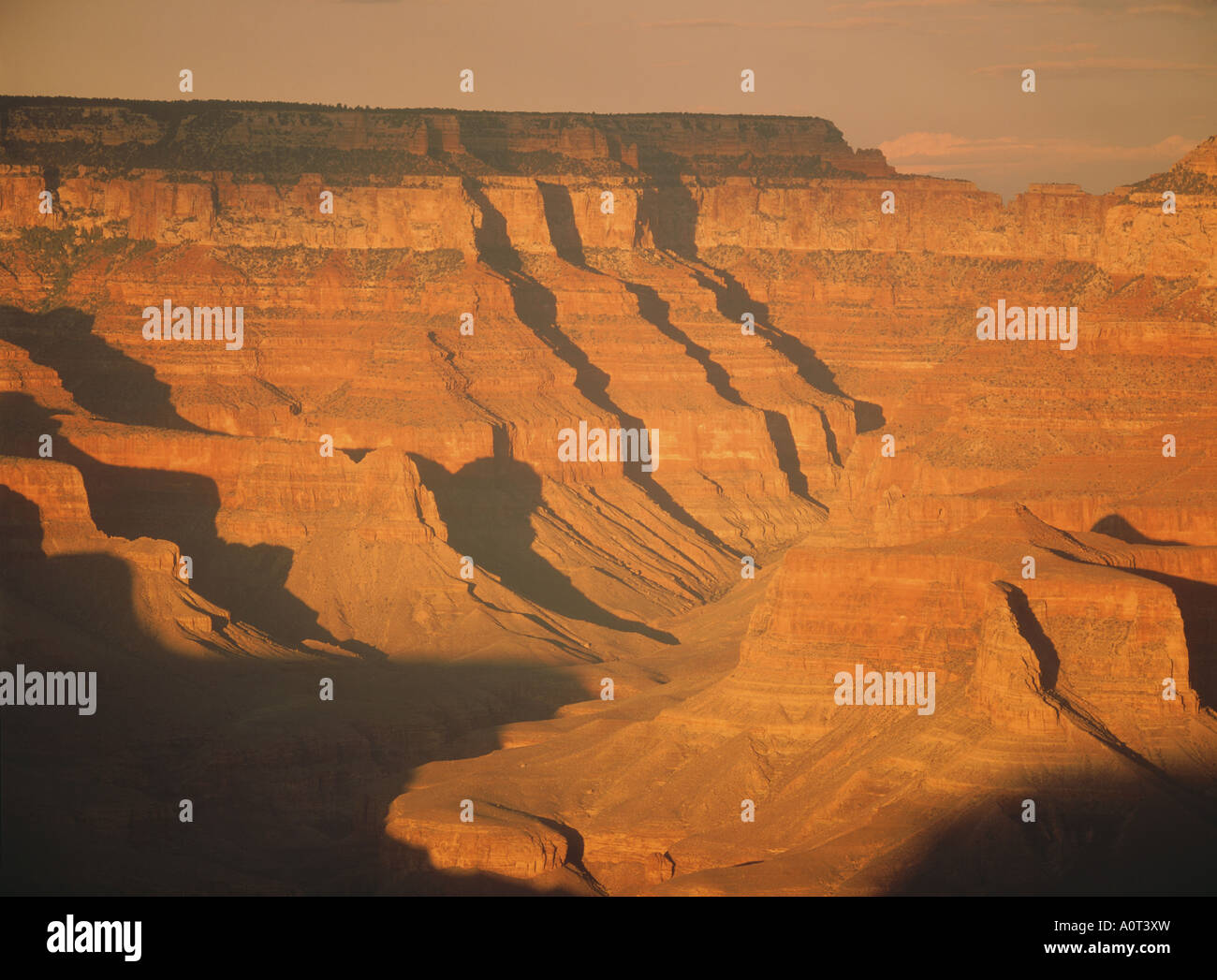 Grand Canyon National Park World Heritage Stock Photo - Alamy