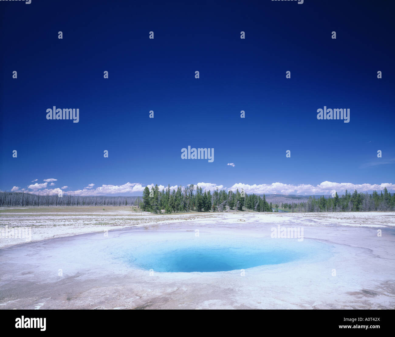 Opal Pool World Heritage Stock Photo - Alamy