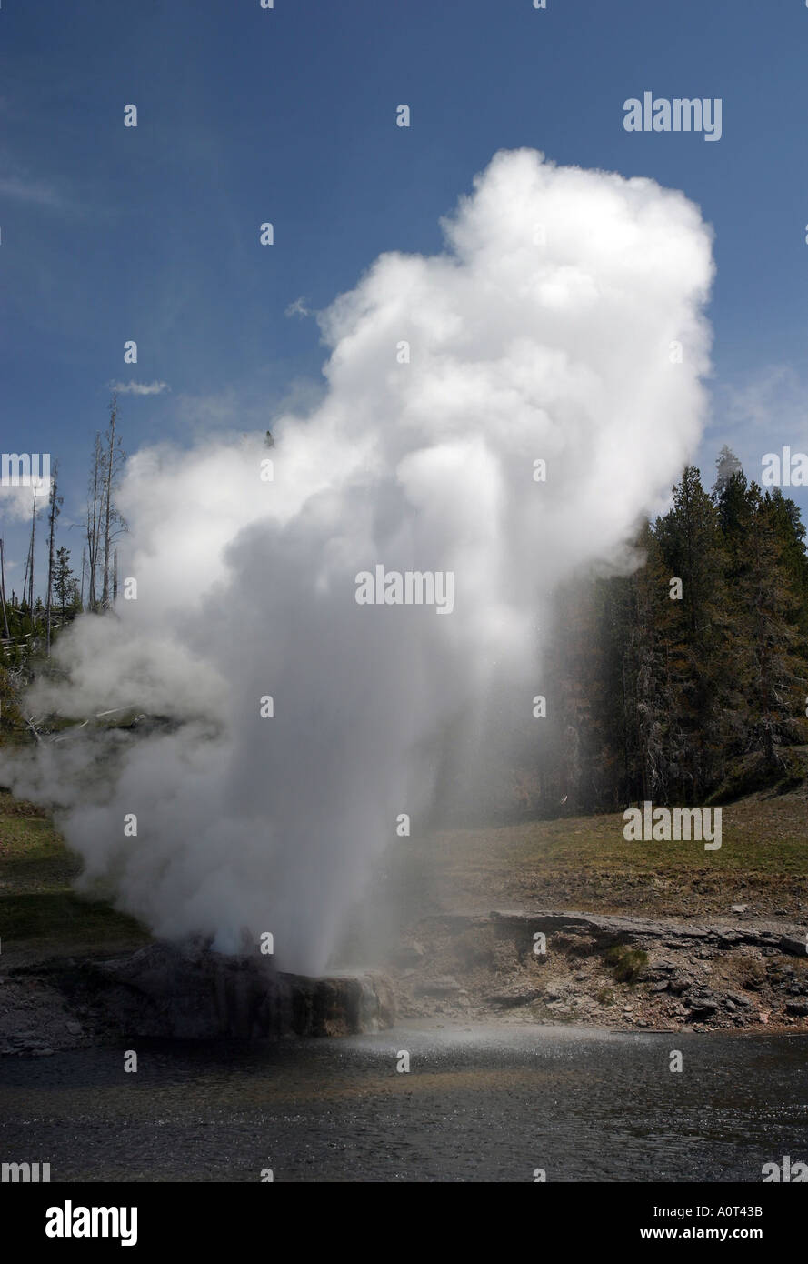 Riverside geyser in yellowstone hi-res stock photography and images - Alamy