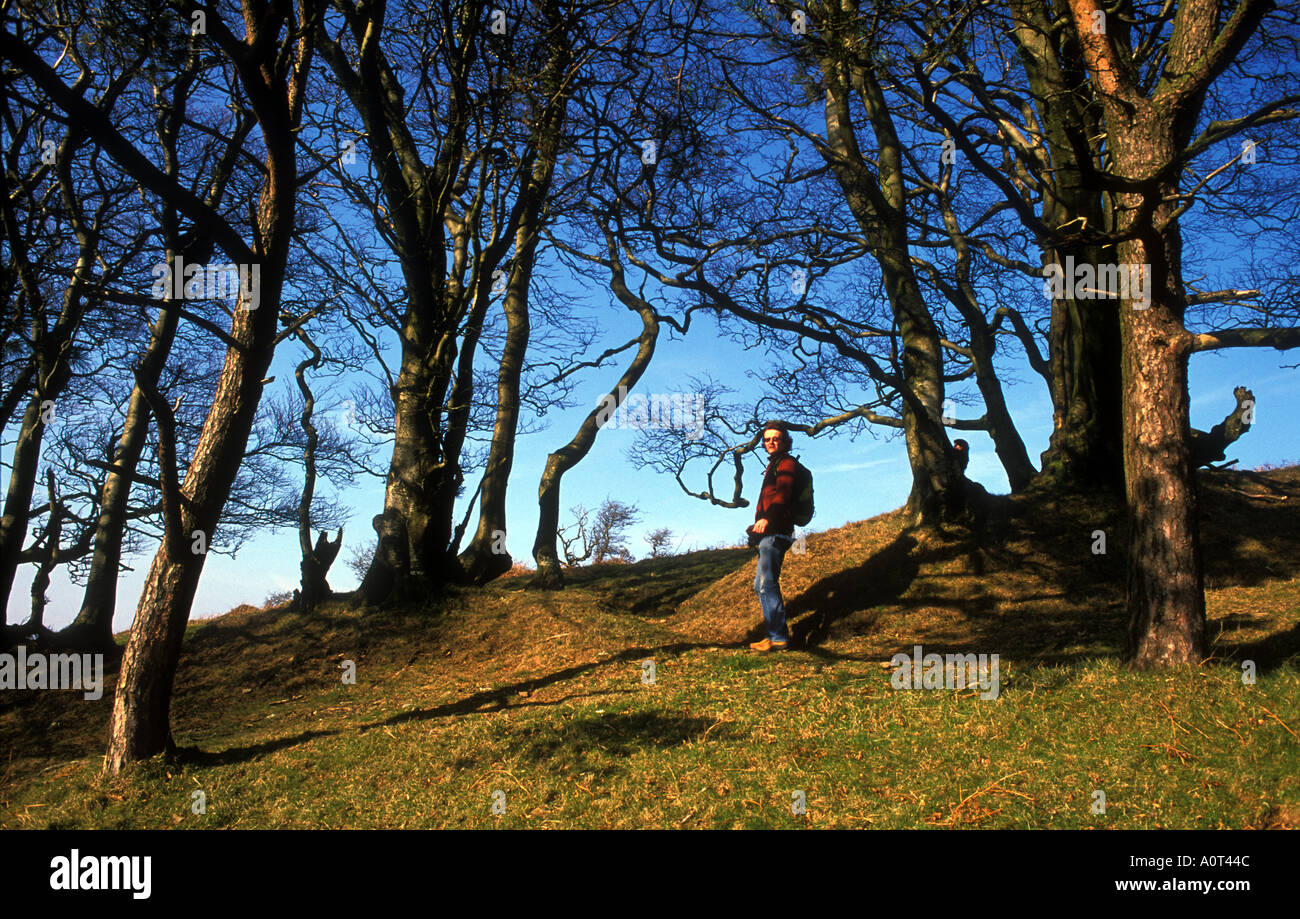 Quantock hills walking hi-res stock photography and images - Alamy