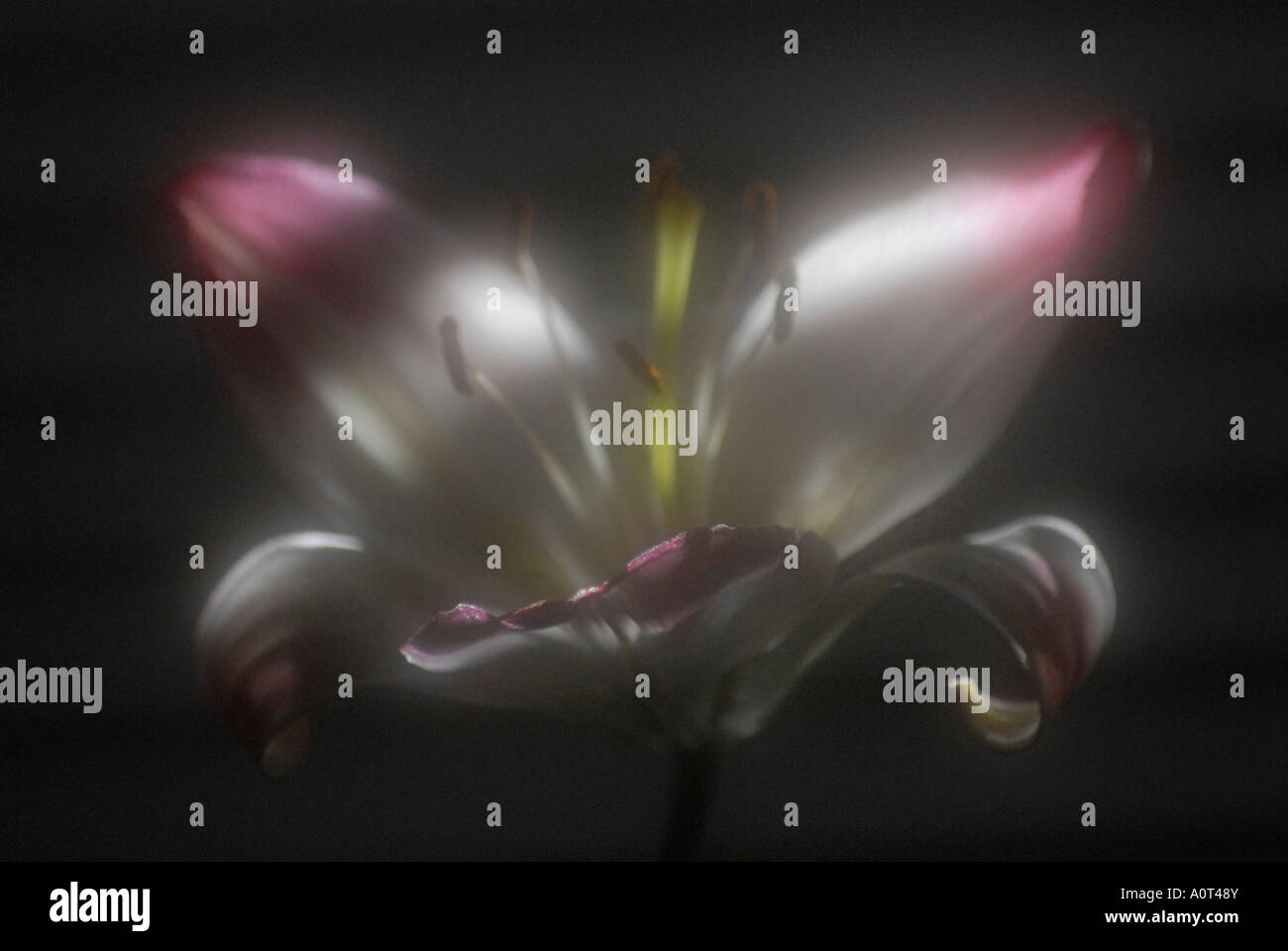 3073 hi-res stock photography and images - Alamy