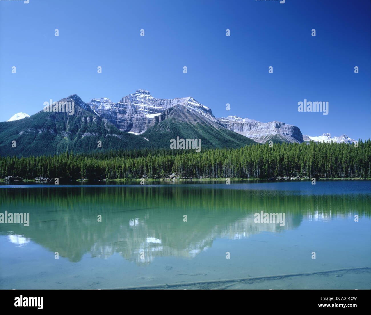 Herbert Lake Banff National Park World Heritage Stock Photo - Alamy