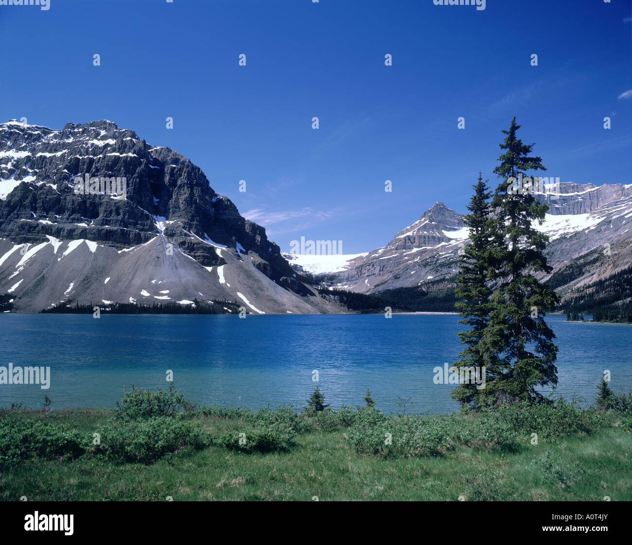 Bow Lake Banff National Park World Heritage Stock Photo - Alamy
