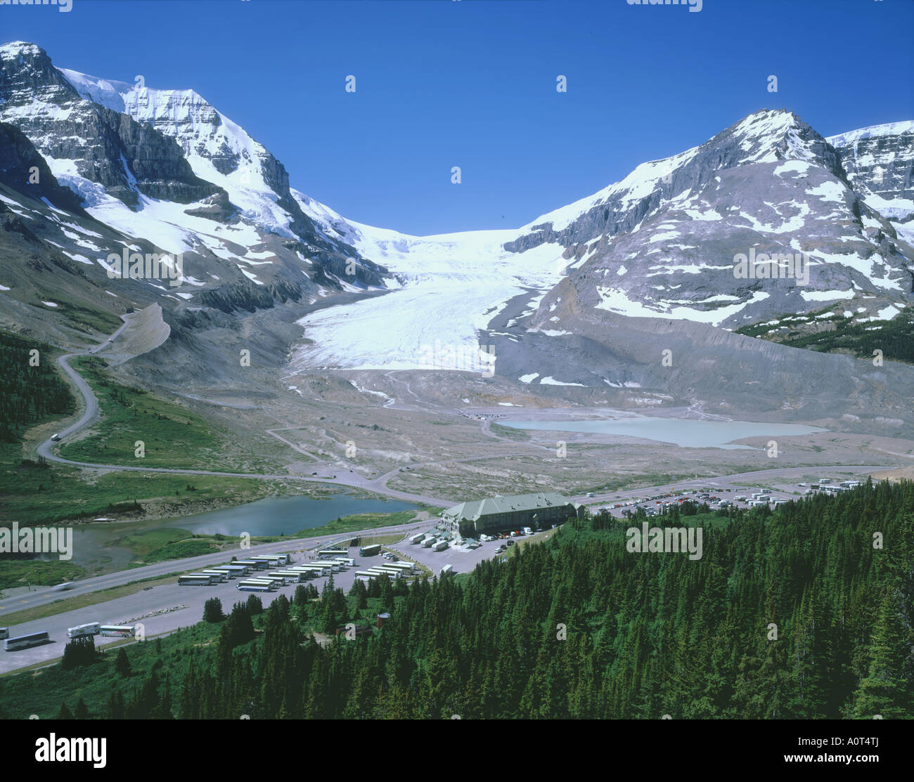 Columbia Icefield Jasper National Park World Heritage Stock Photo - Alamy