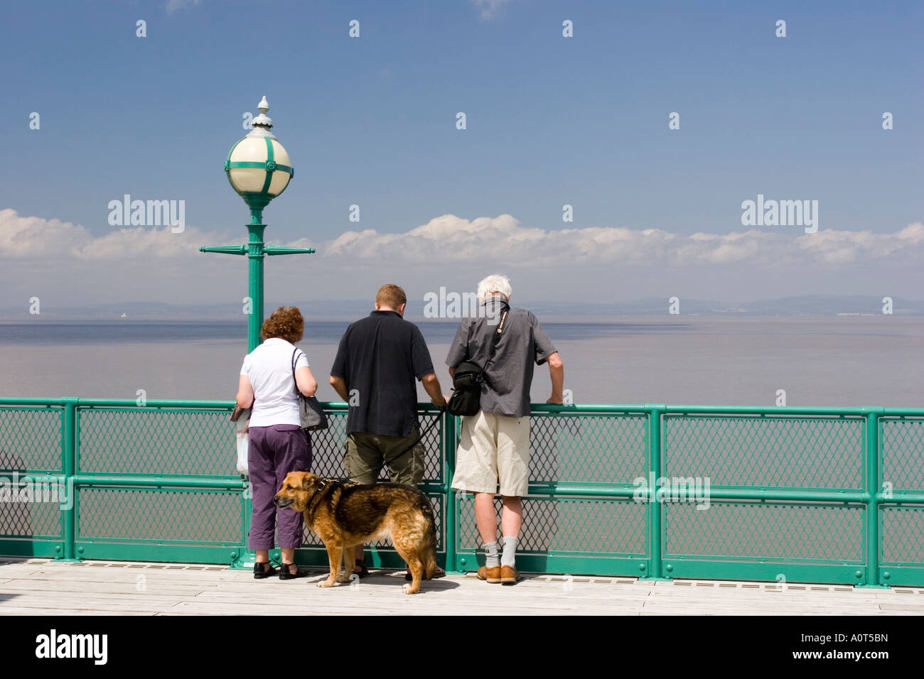 Clevedon pier and sea front hi-res stock photography and images - Alamy