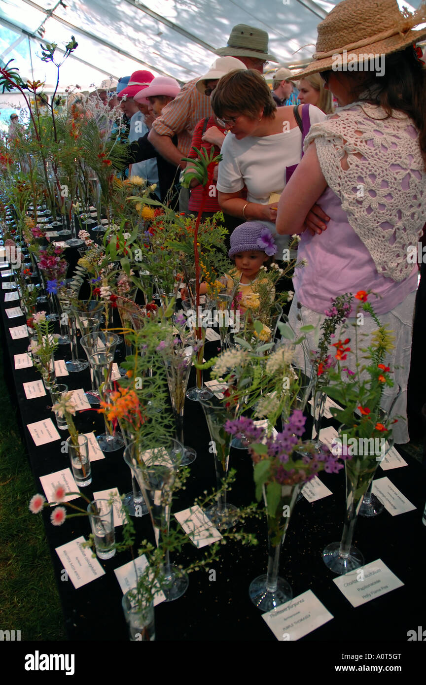 People looking at display of cut wildflowers with scientific names ...
