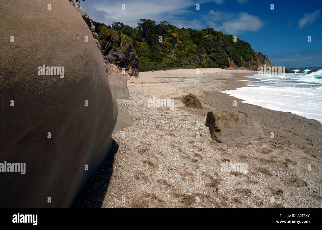 Wild Monro Beach on the south island's west coast, north of Haast, New ...
