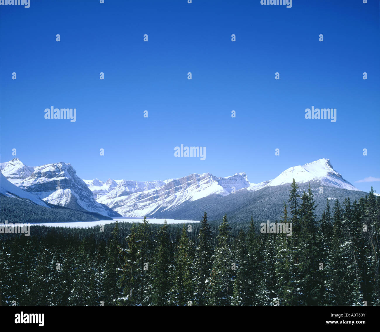 Hector lake banff national park hi-res stock photography and images - Alamy