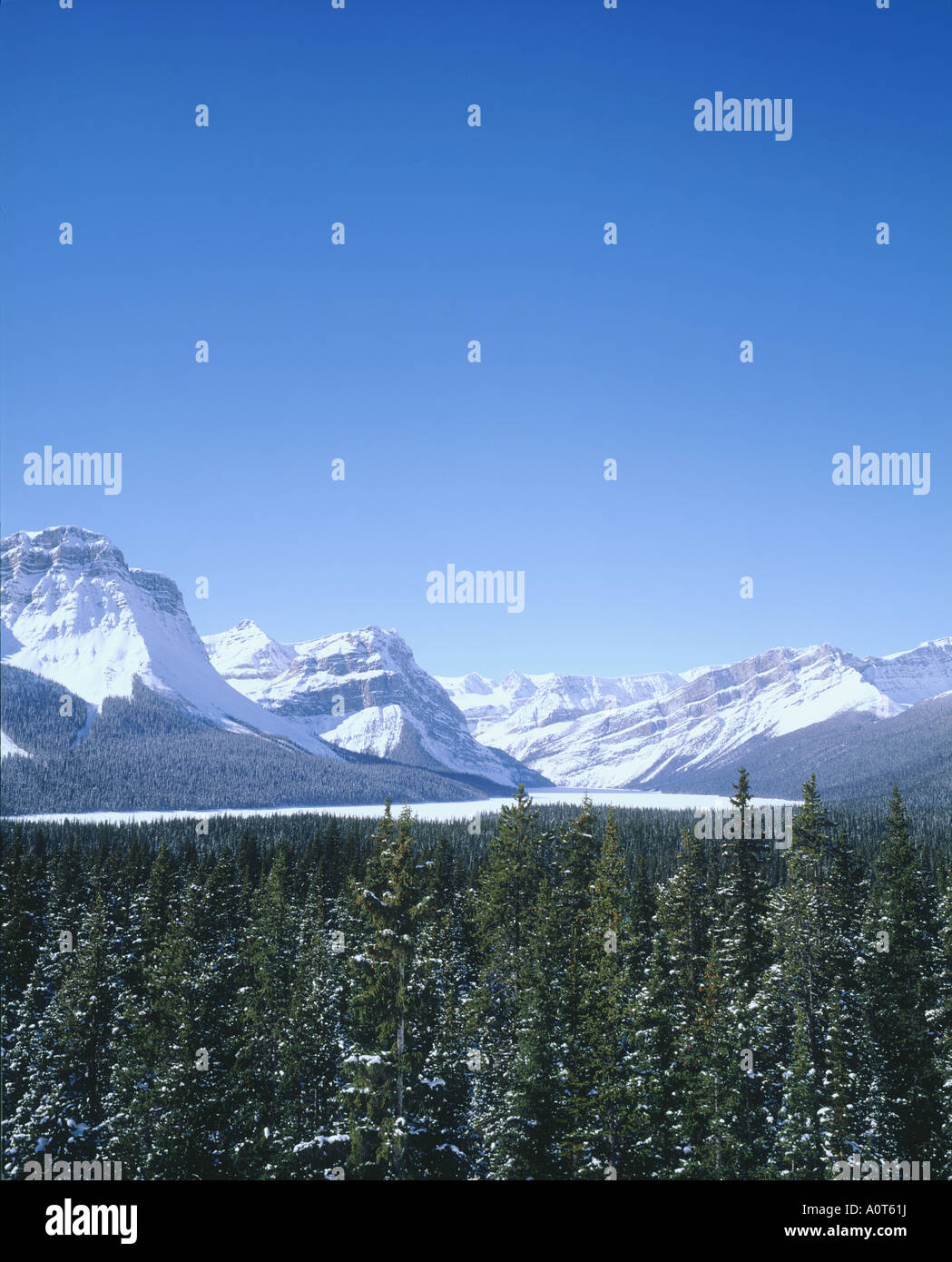 Hector Lake Banff National Park World Heritage Stock Photo - Alamy