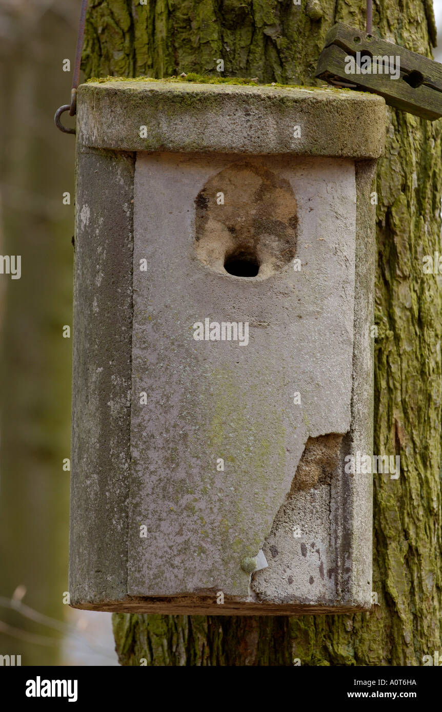 Nuthatch box hi-res stock photography and images - Alamy