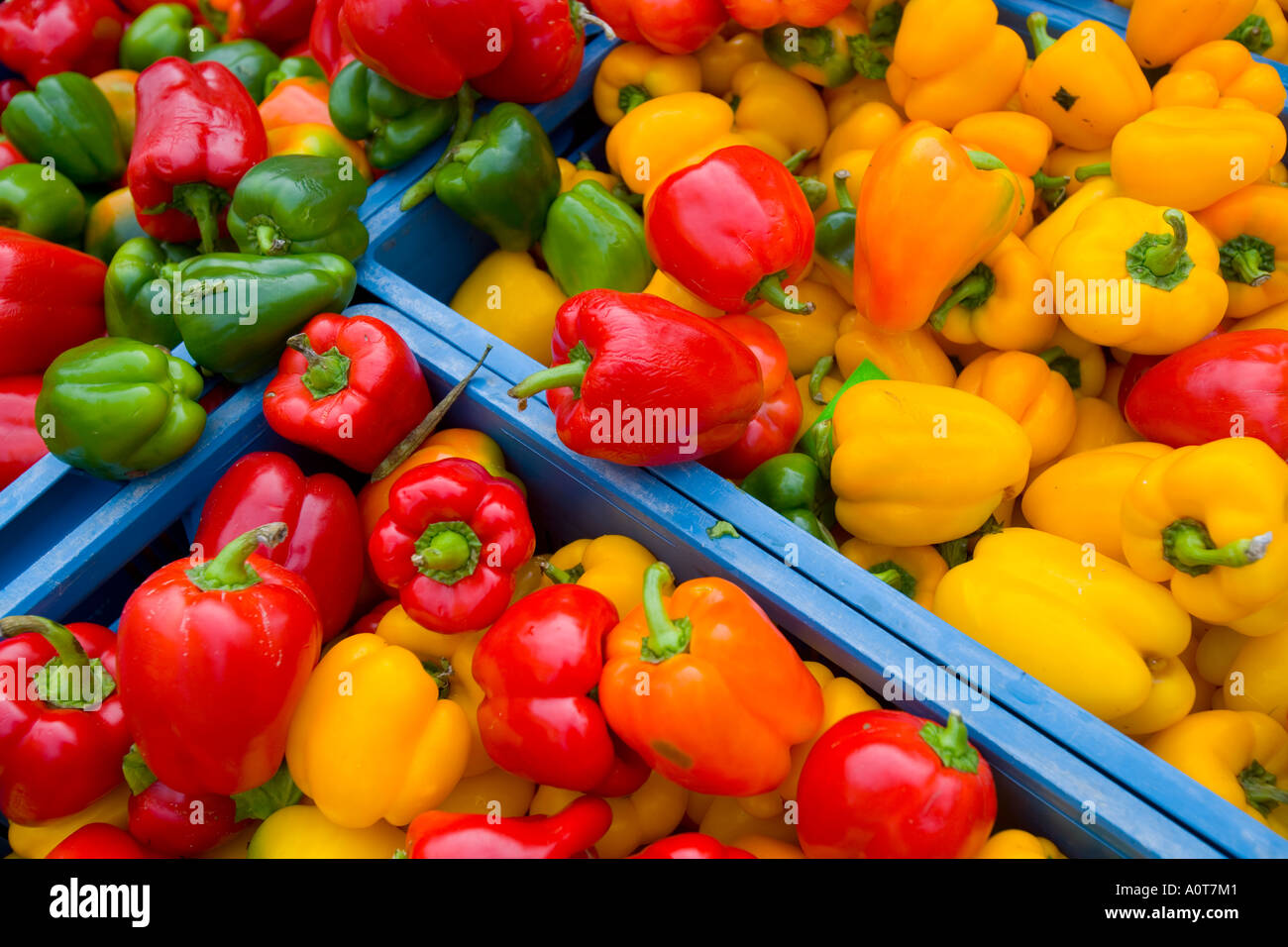 Bell Peppers on display at a market Stock Photo - Alamy