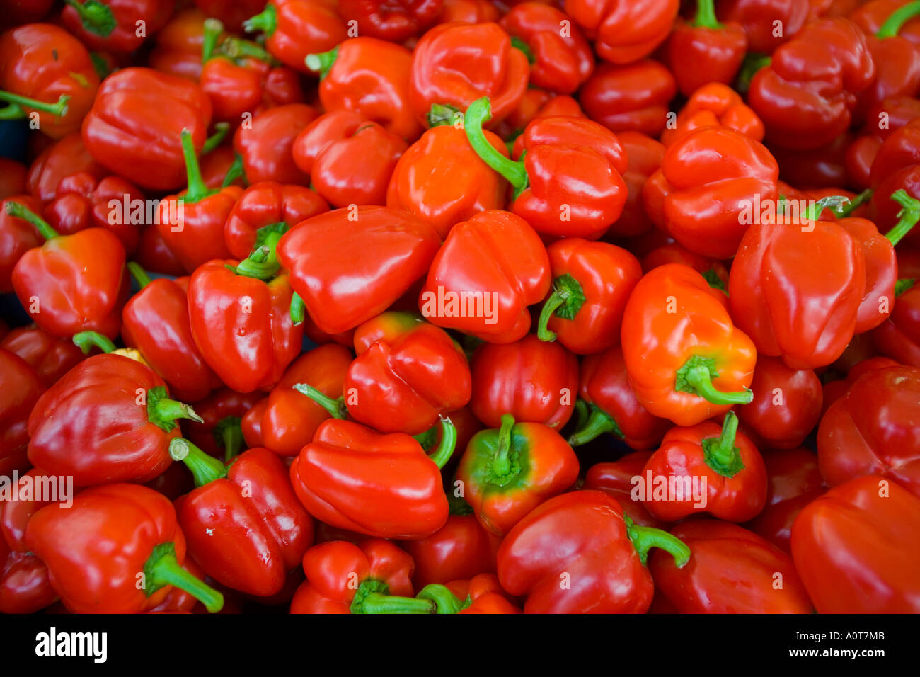 Bell Peppers on display at a market Stock Photo - Alamy