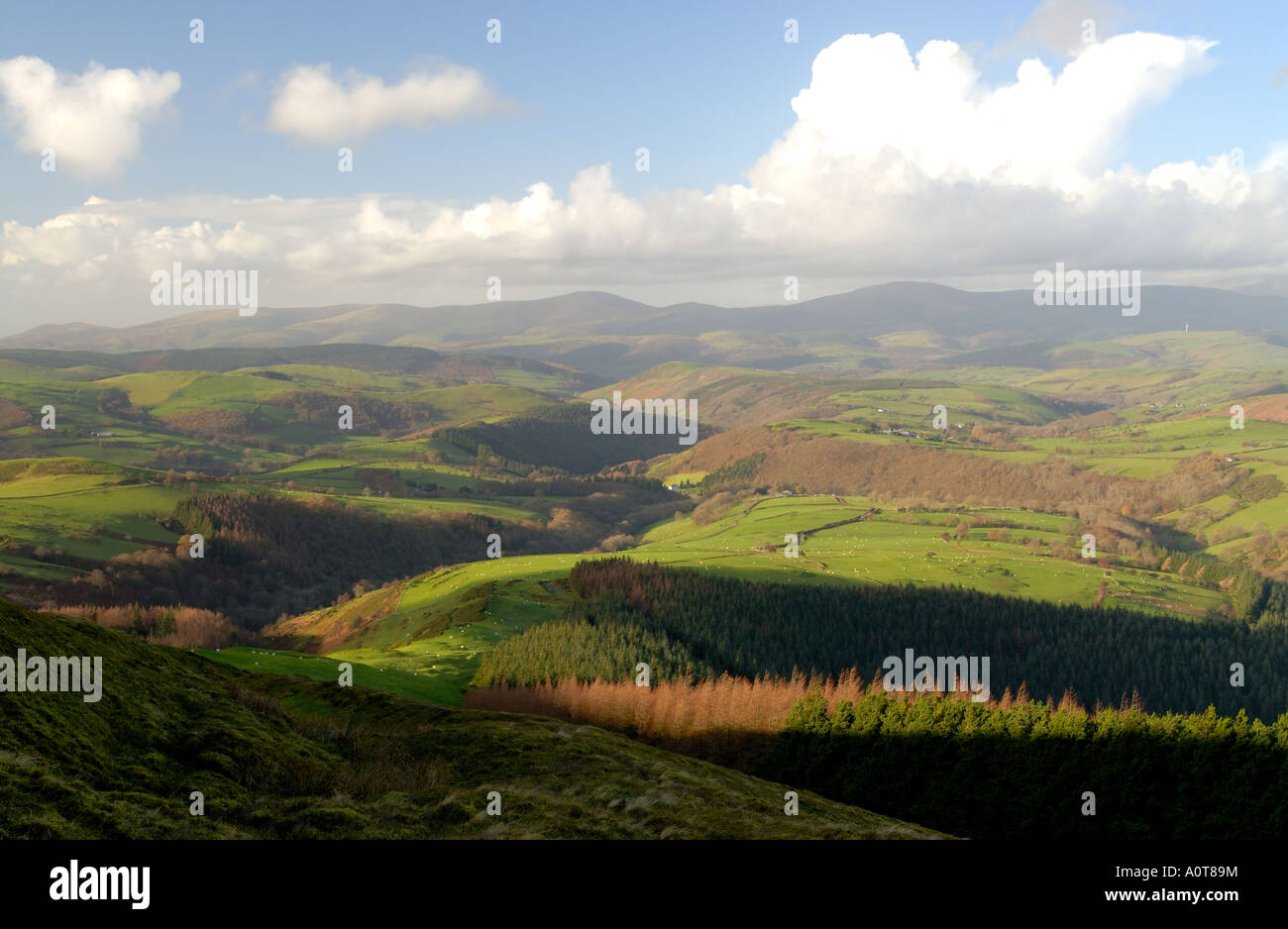 Landscape Cambrian Mountains Mid Wales Stock Photo - Alamy