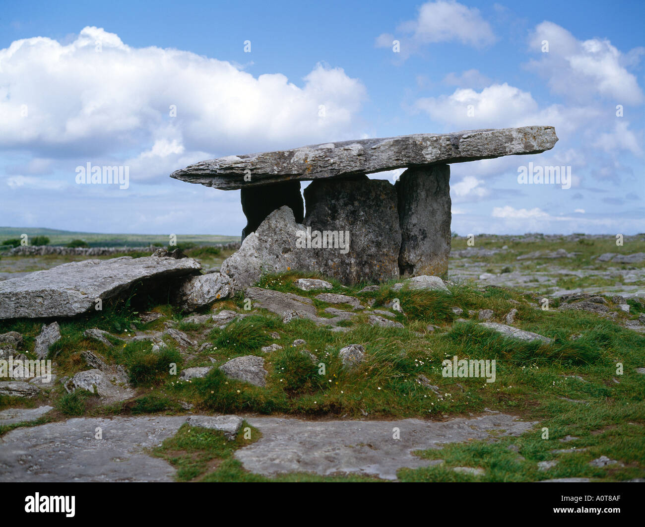 ancient archaeological relic standing in irelands landscape Stock Photo ...