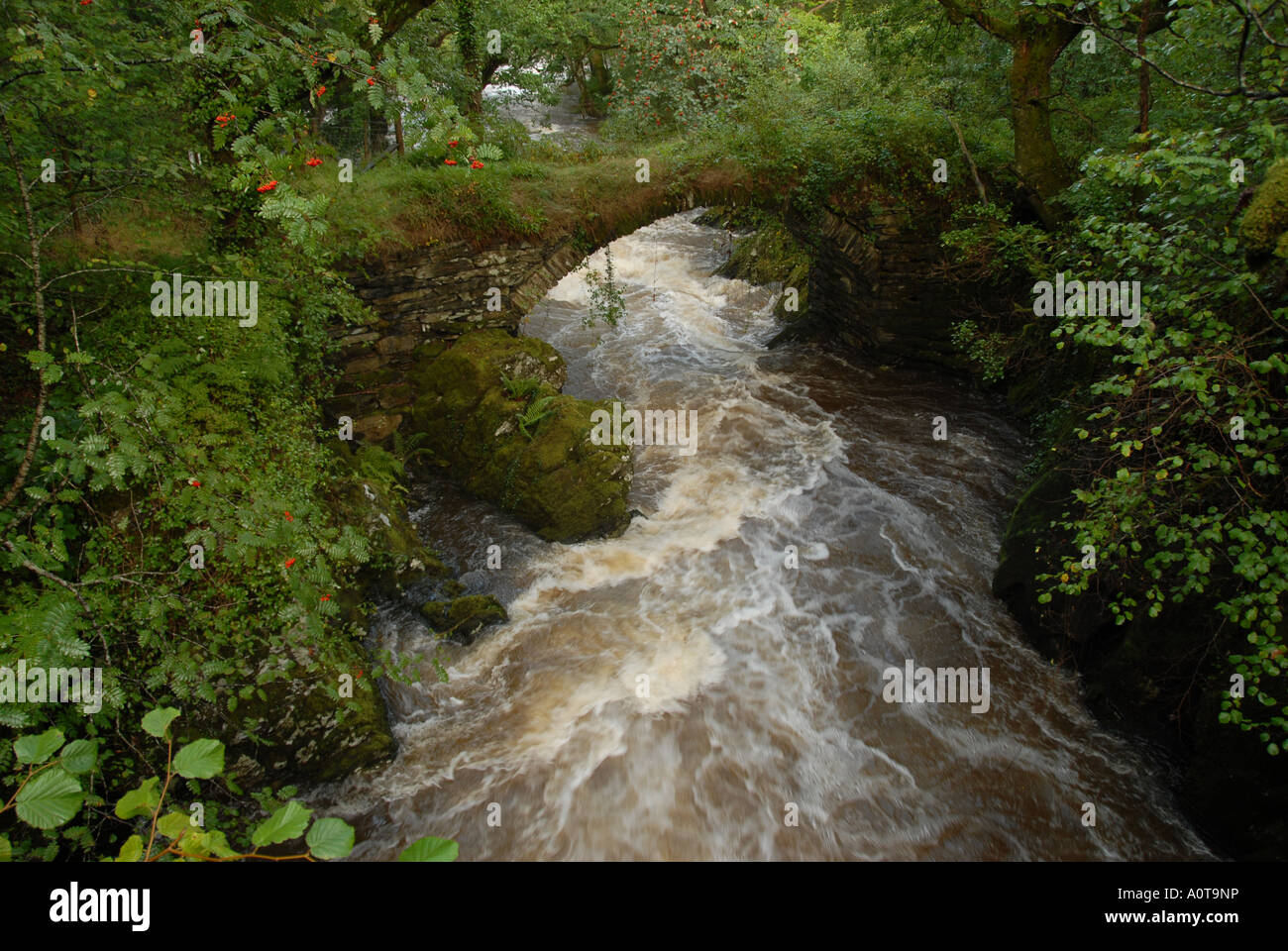 Disused Footbridge Over River Machno in Flood near Betws y Coed ...