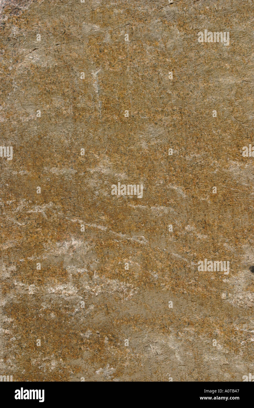 Pitted Spots High Resolution Stock Photography and Images - Alamy