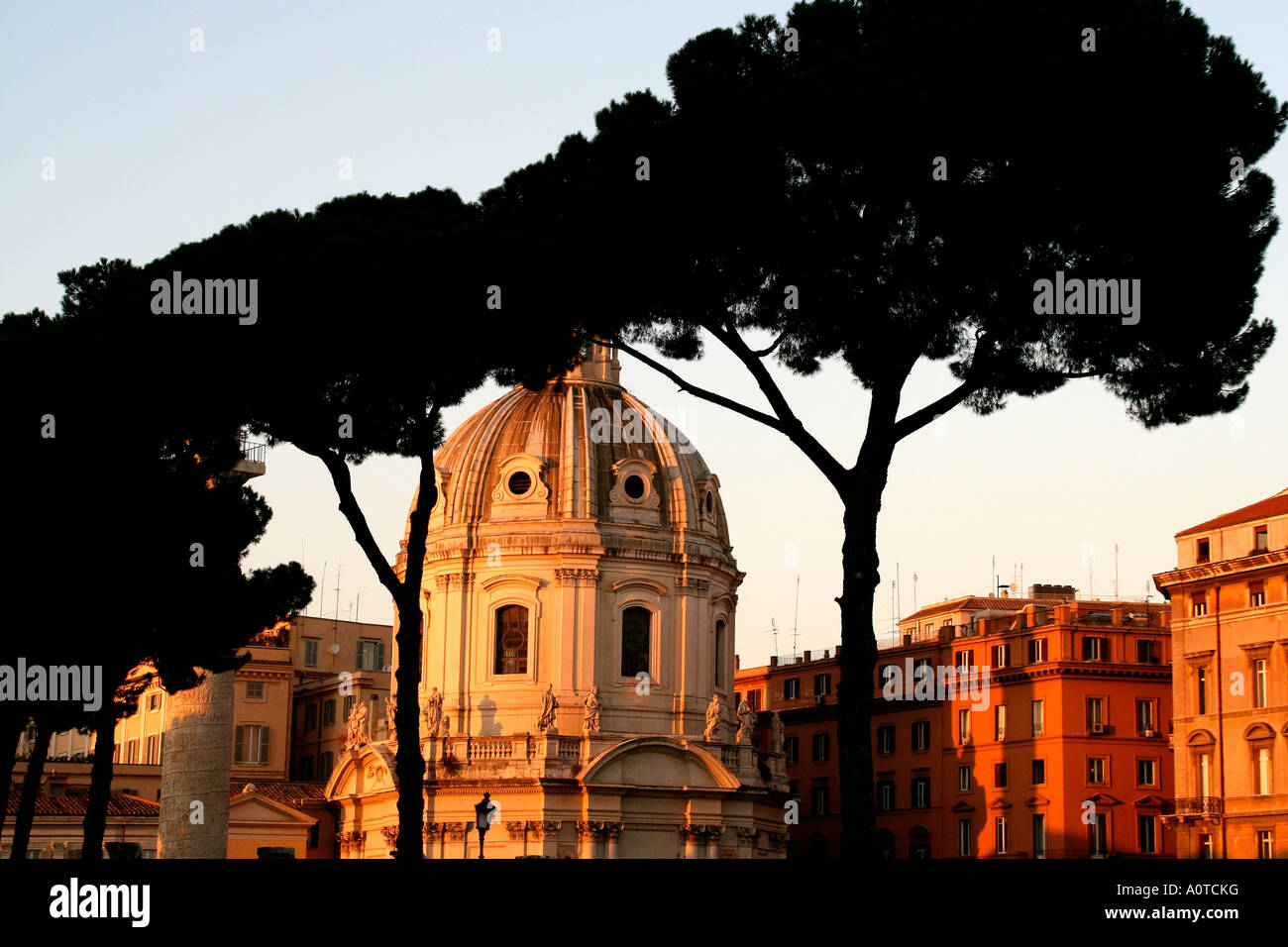 Cypress trees line the Via dei Fori Imperiali in Rome Italy Stock Photo ...
