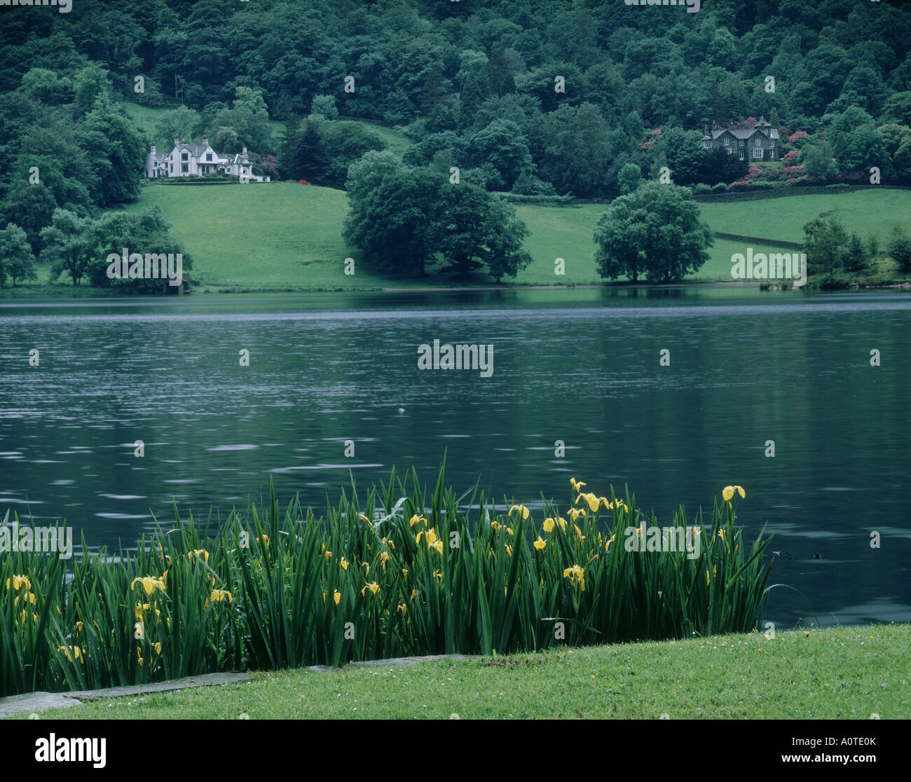 Lake Grasmere White House Stock Photo - Alamy