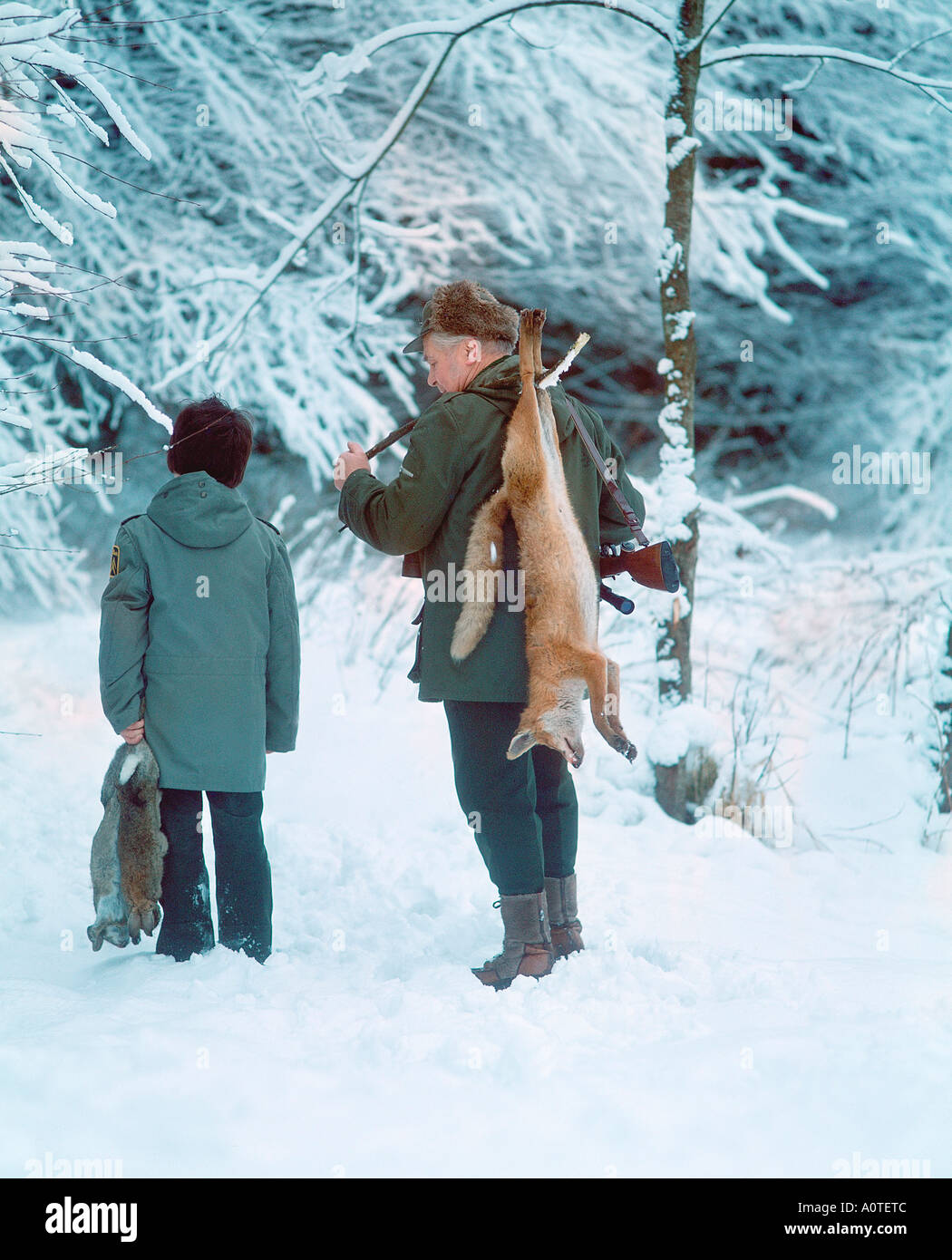 Red fox hunting rabbits hi-res stock photography and images - Alamy