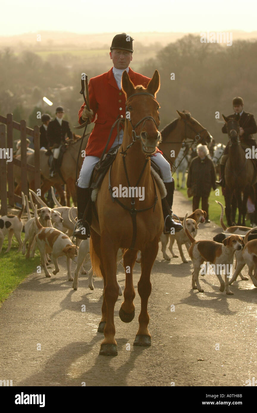 Huntsman leading hounds and the field Stock Photo - Alamy