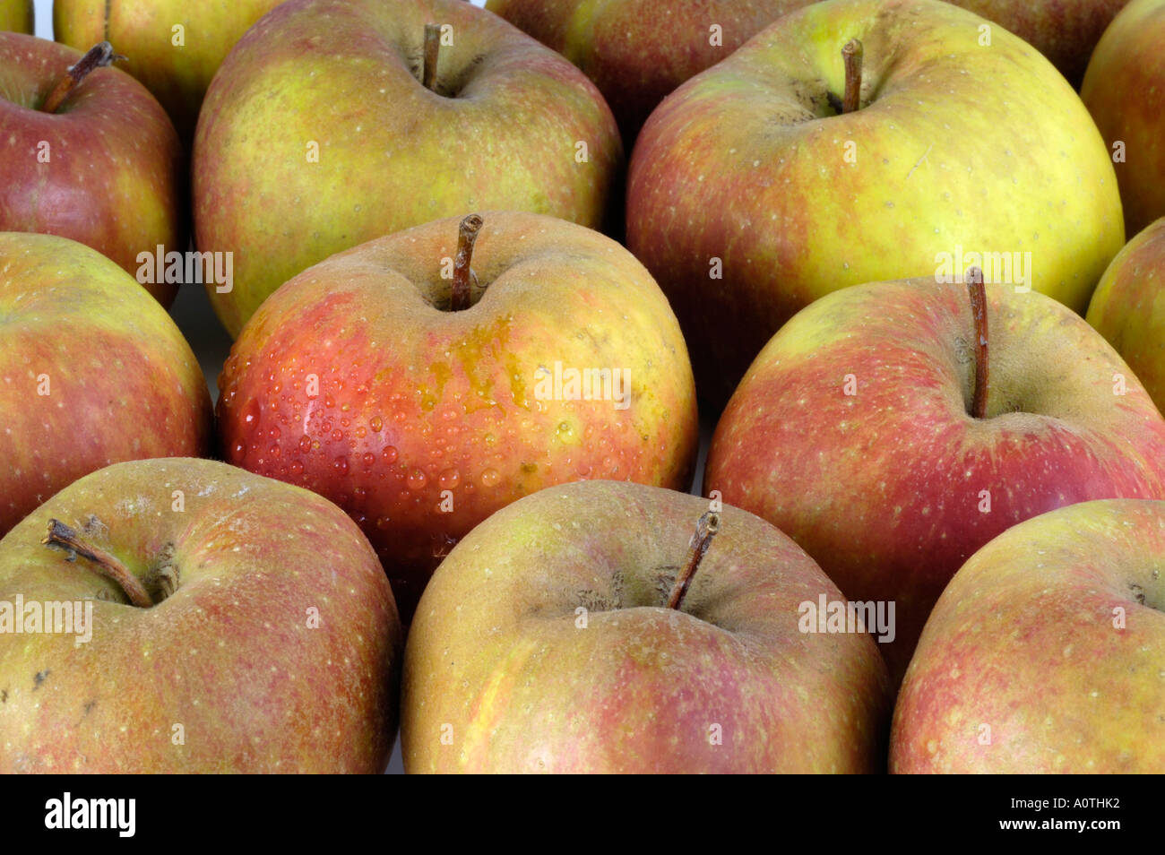 Boskop hi-res stock photography and images - Alamy