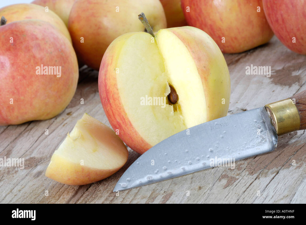 Rebella hi-res stock photography and images - Alamy