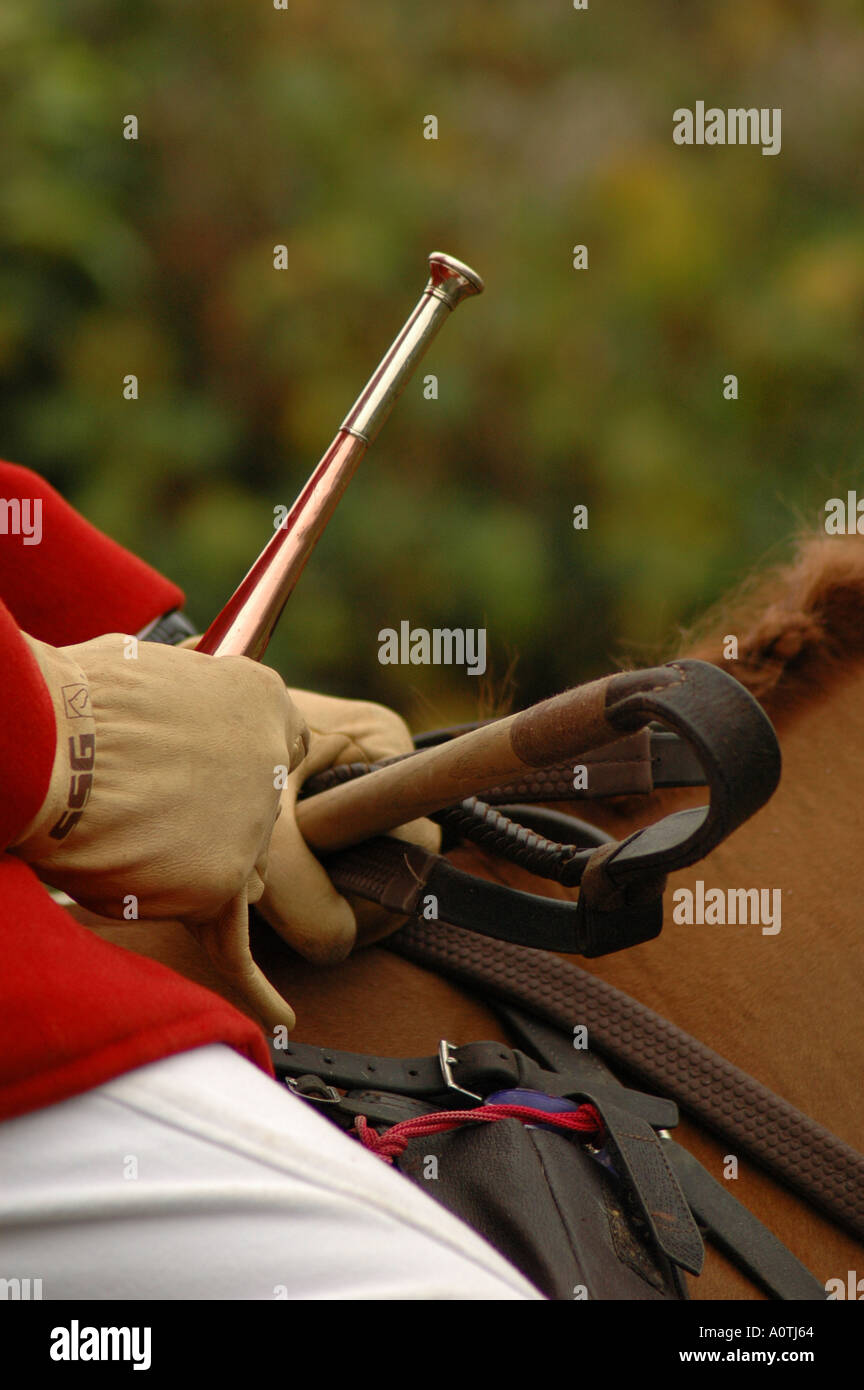 Huntsman with hunting horn in hand Stock Photo - Alamy