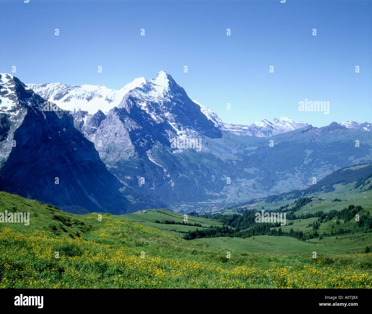 Grosse scheidegg hi-res stock photography and images - Alamy