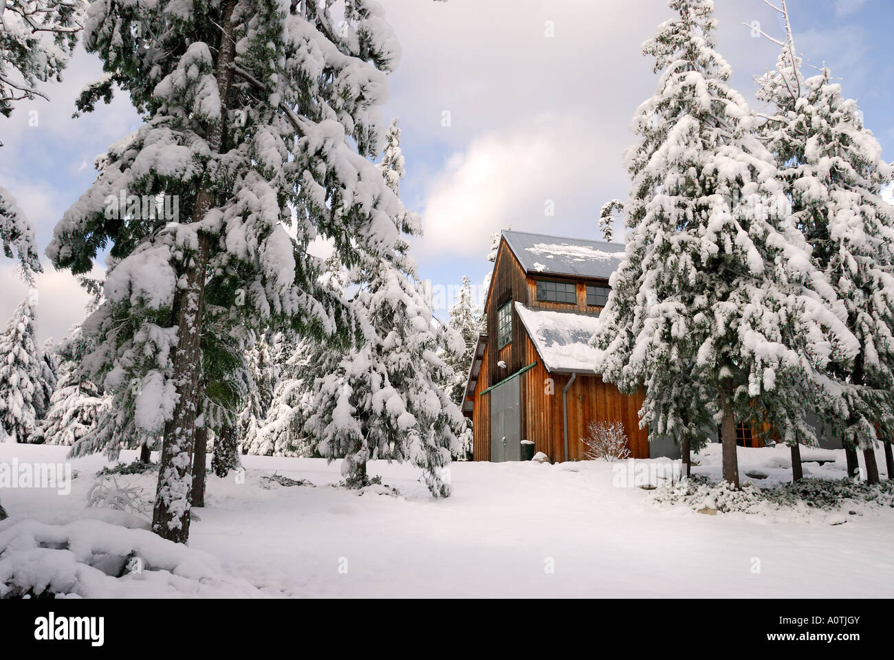 "Snow-covered barn and cedar trees Stock Photo - Alamy