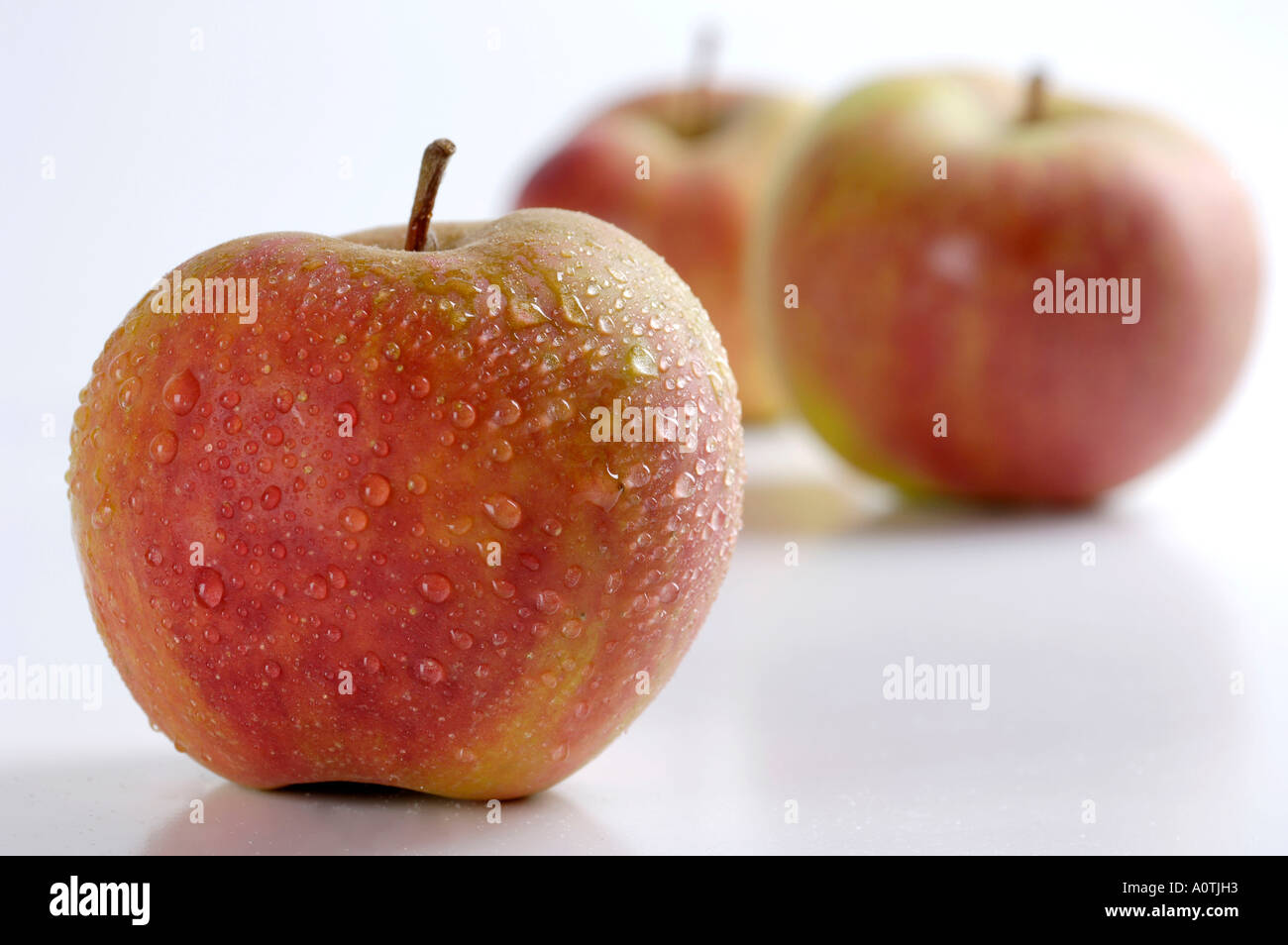 Boskop hi-res stock photography and images - Alamy