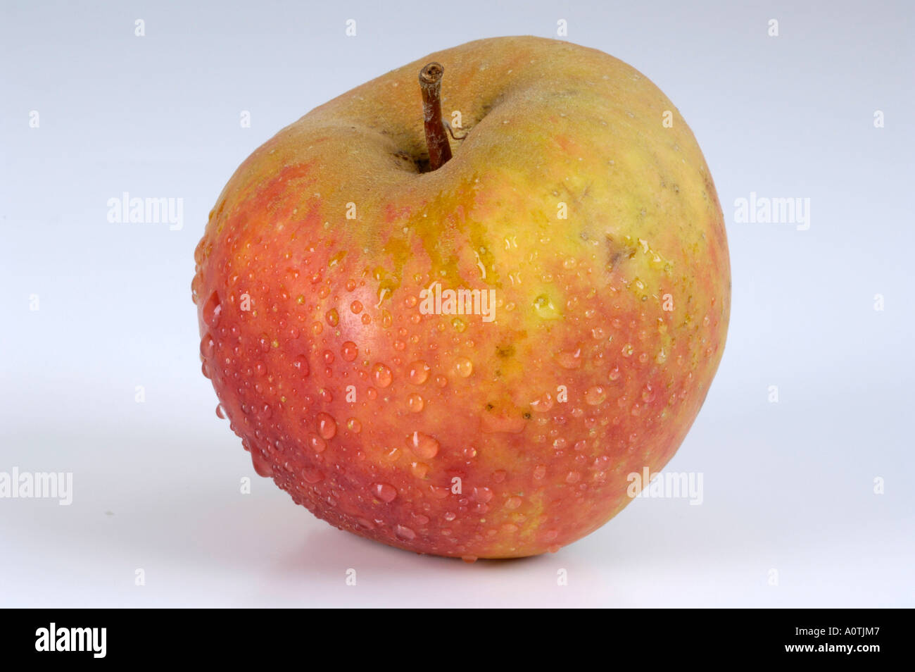 Boskop hi-res stock photography and images - Alamy