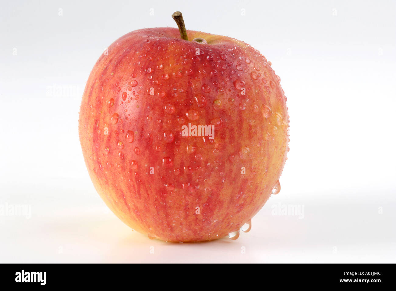 Rebella hi-res stock photography and images - Alamy