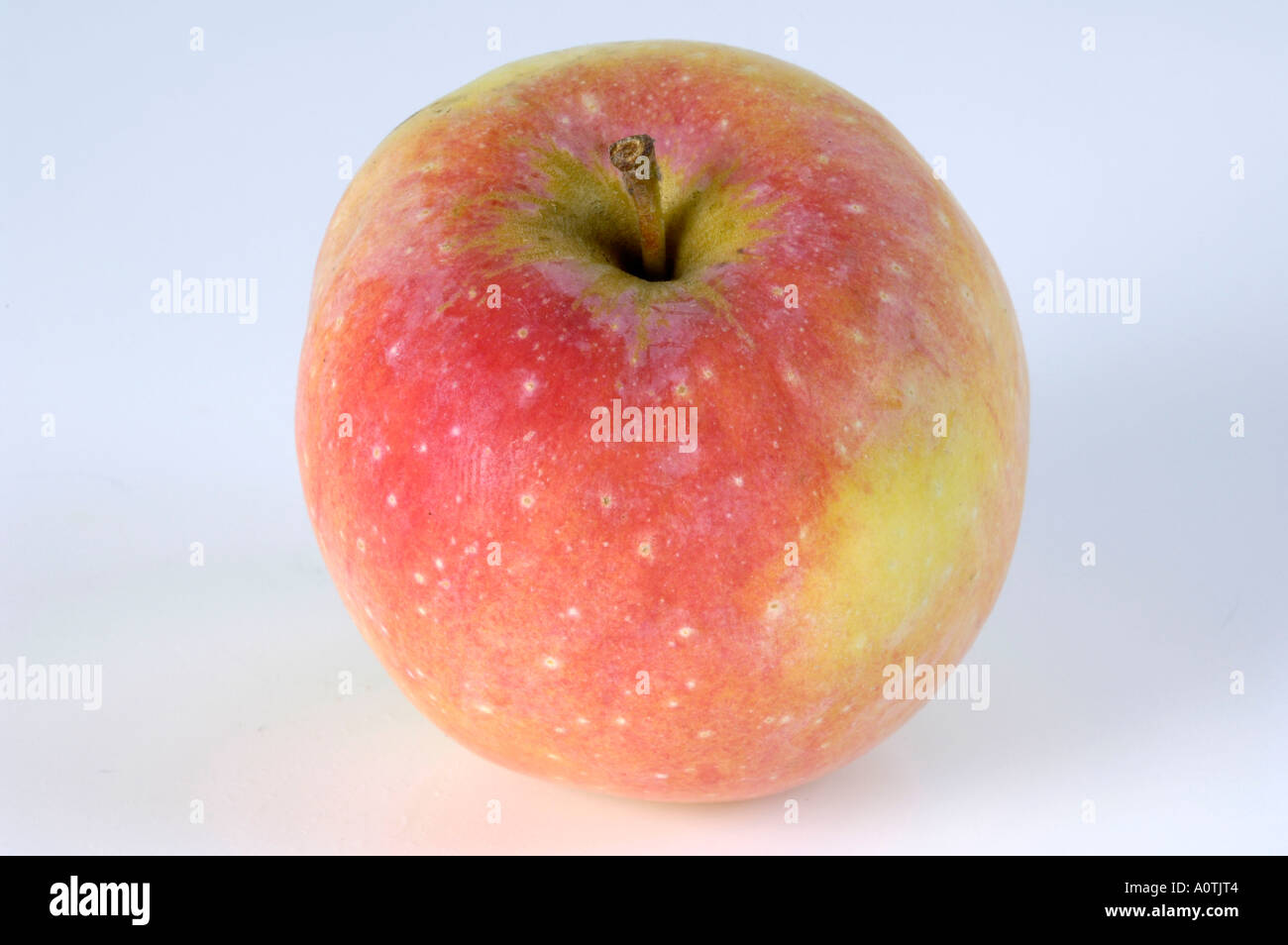 Apple / Florina Stock Photo - Alamy