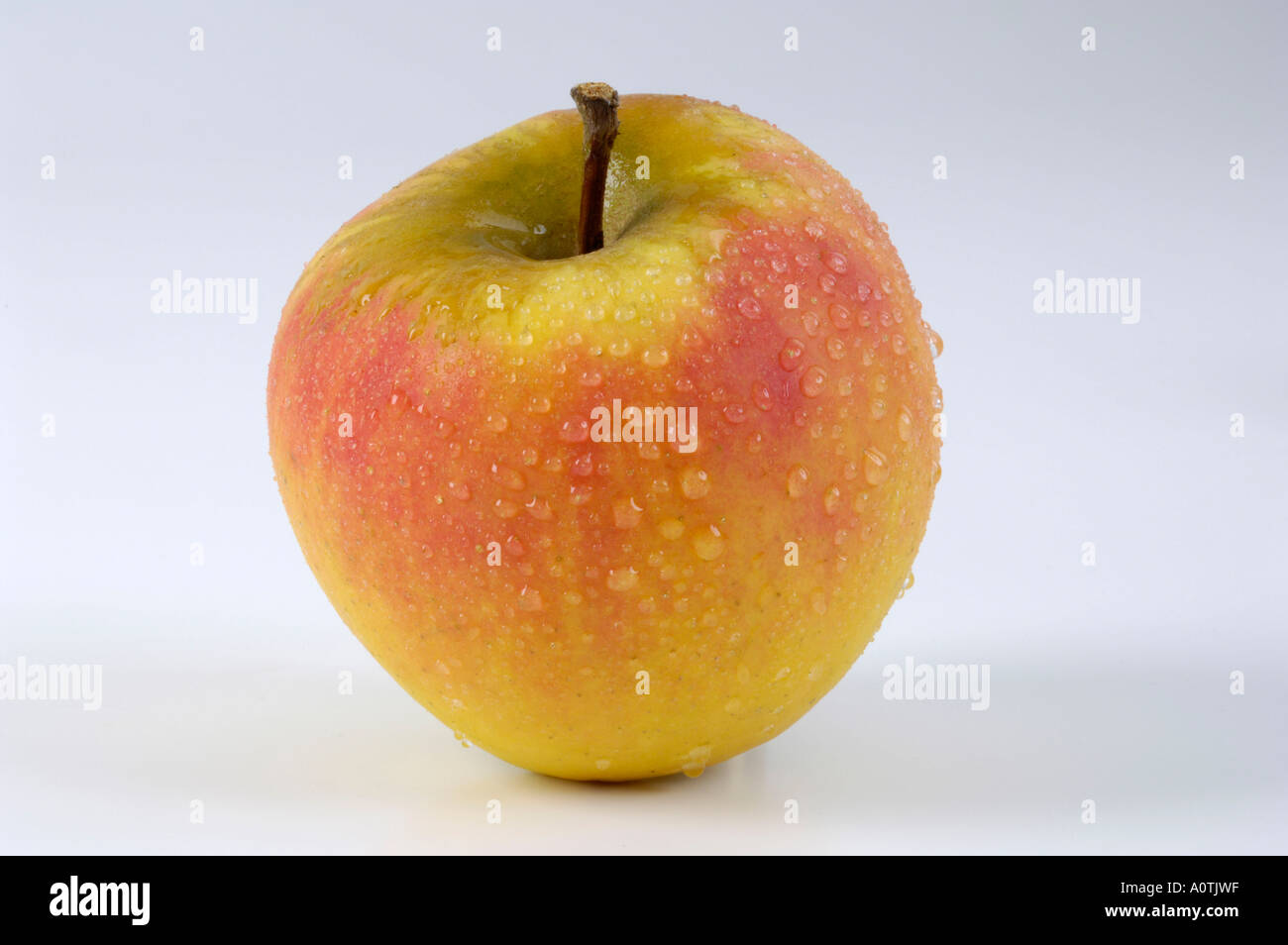 Apple elstar hi-res stock photography and images - Alamy
