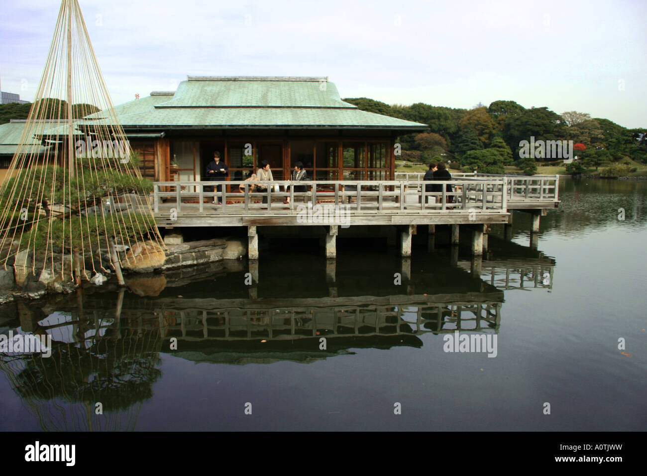 Tokyo tea house hi-res stock photography and images - Alamy