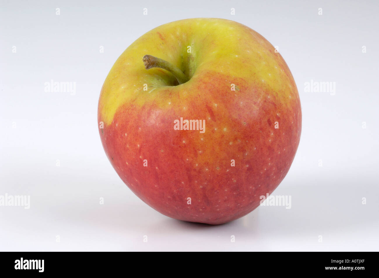Pilot apple hi-res stock photography and images - Alamy