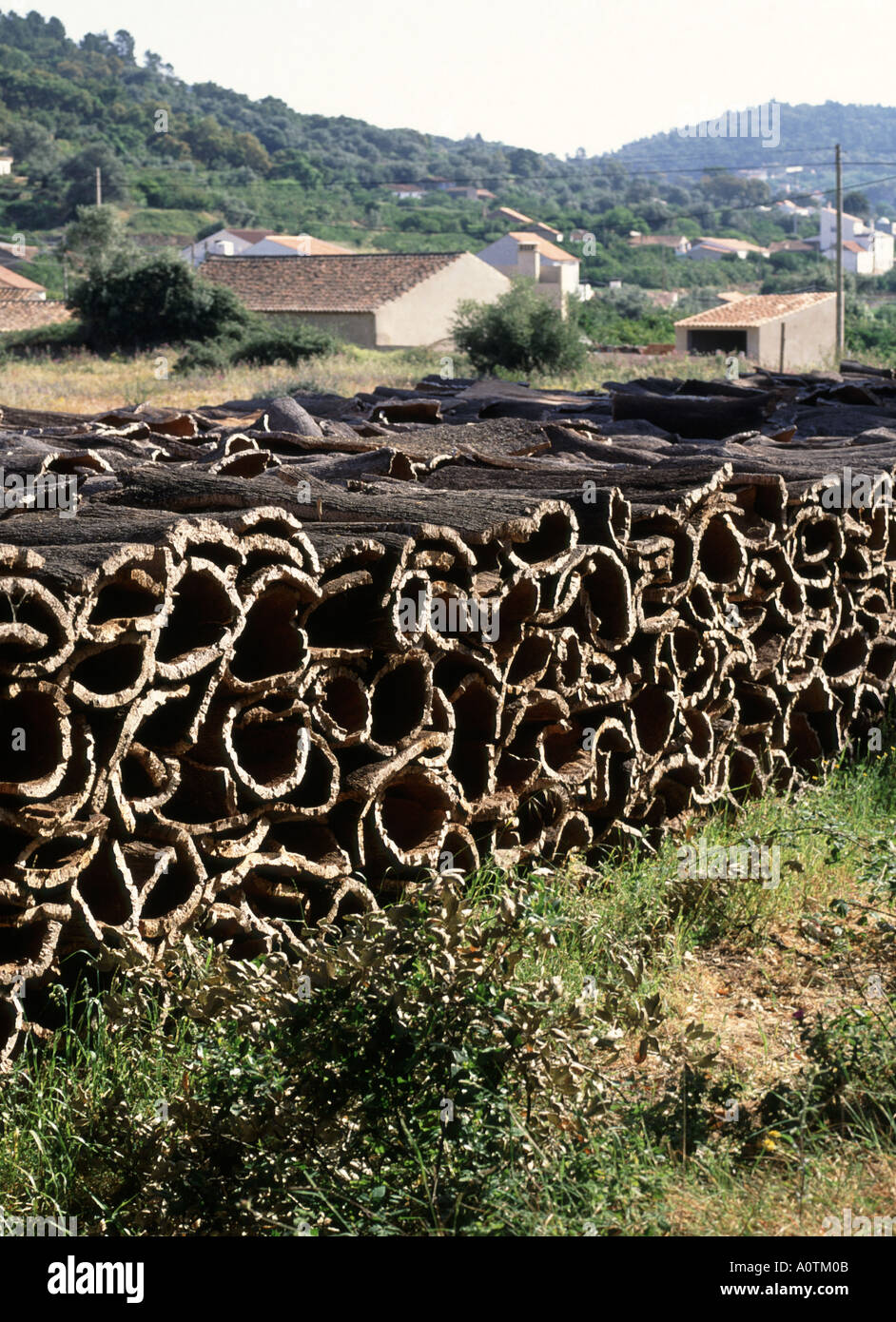 Cork bark as a raw material after removal from Cork Oak trees stacked ...