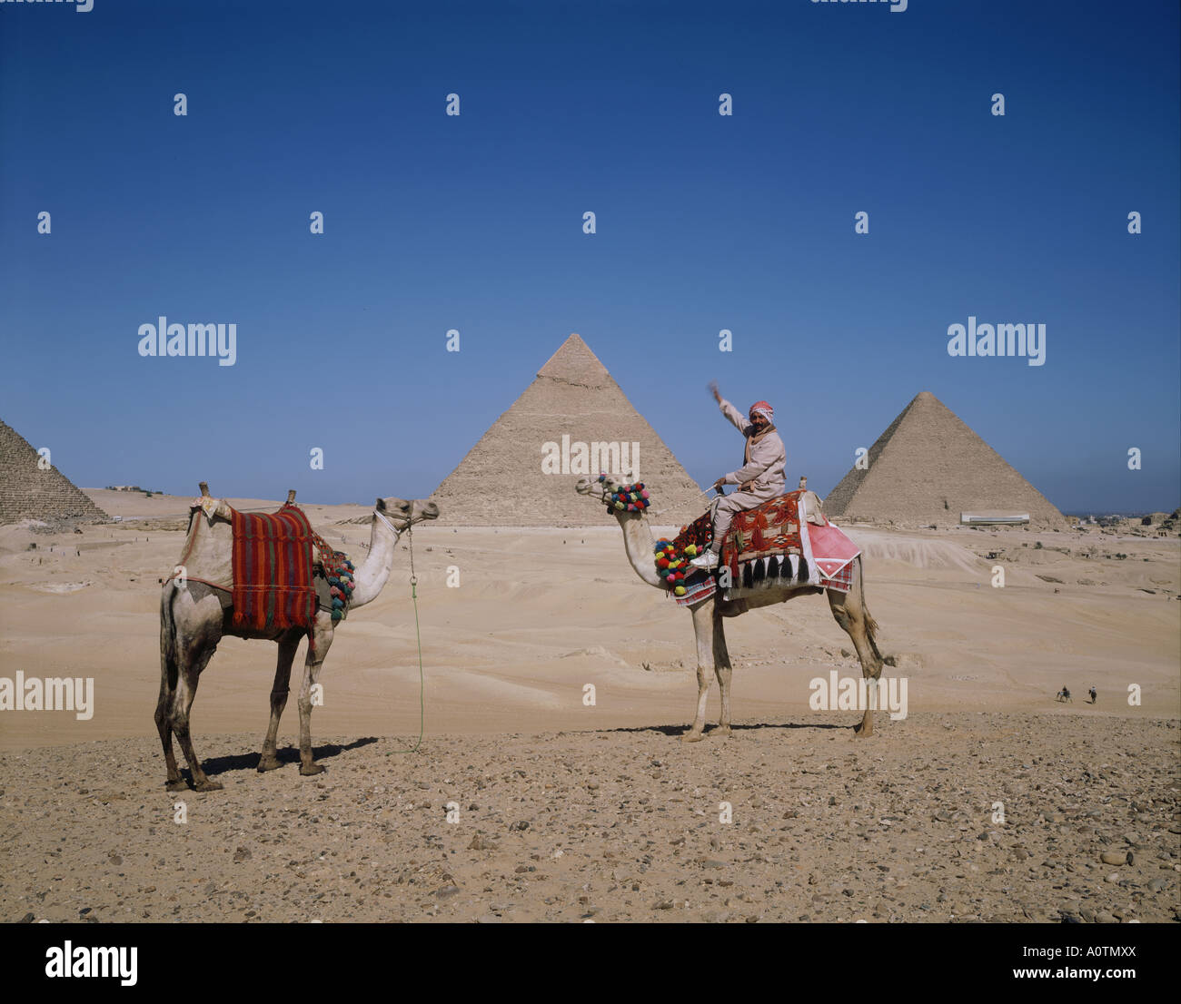 Camel Pyramid World Heritage Stock Photo - Alamy