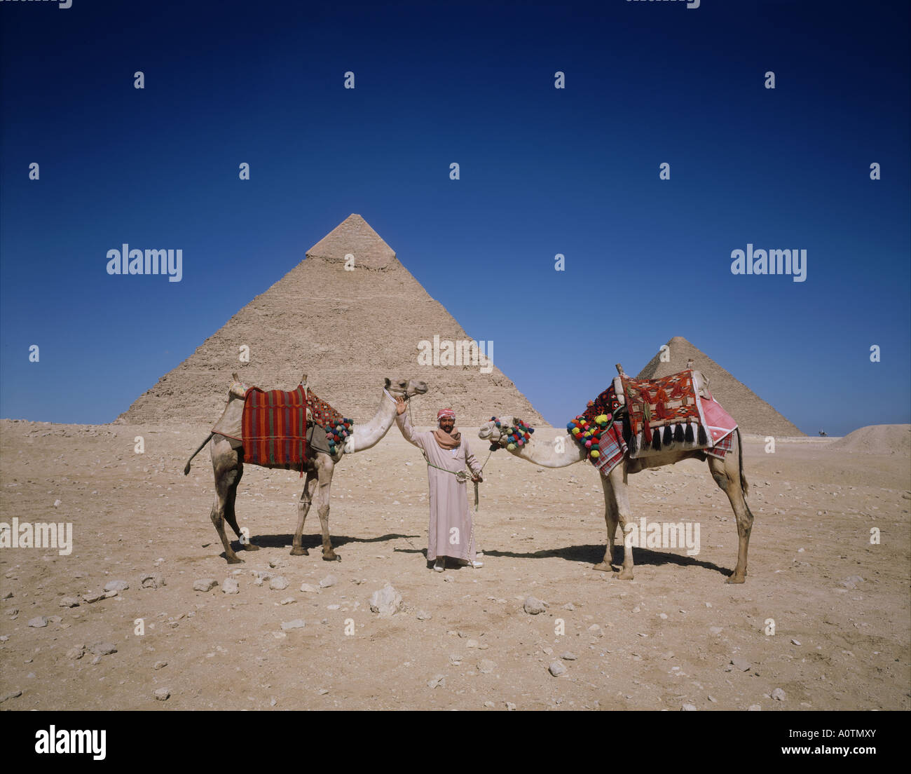 Camel Pyramid World Heritage Stock Photo - Alamy