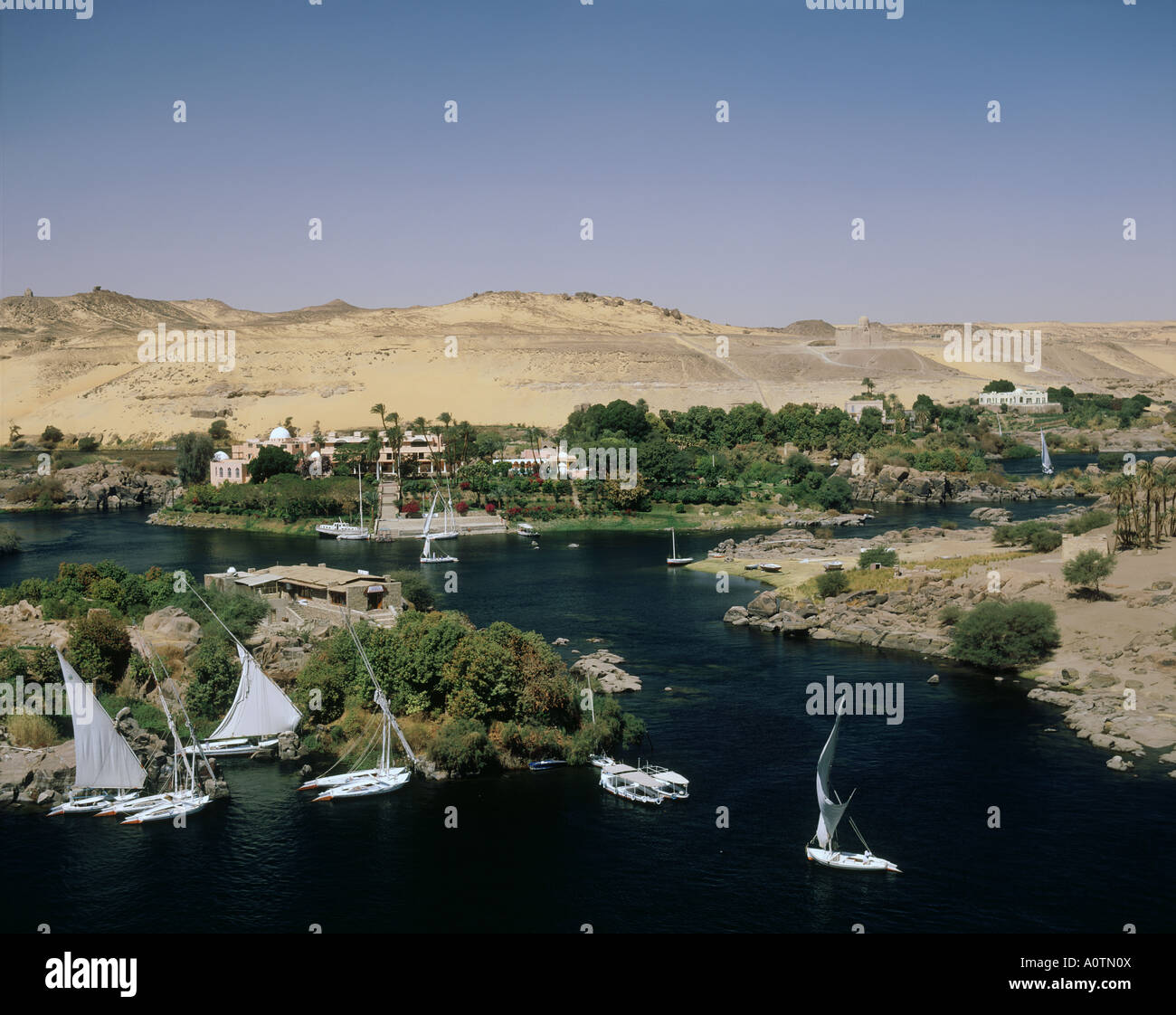 Felucca boat at Nile River Stock Photo - Alamy