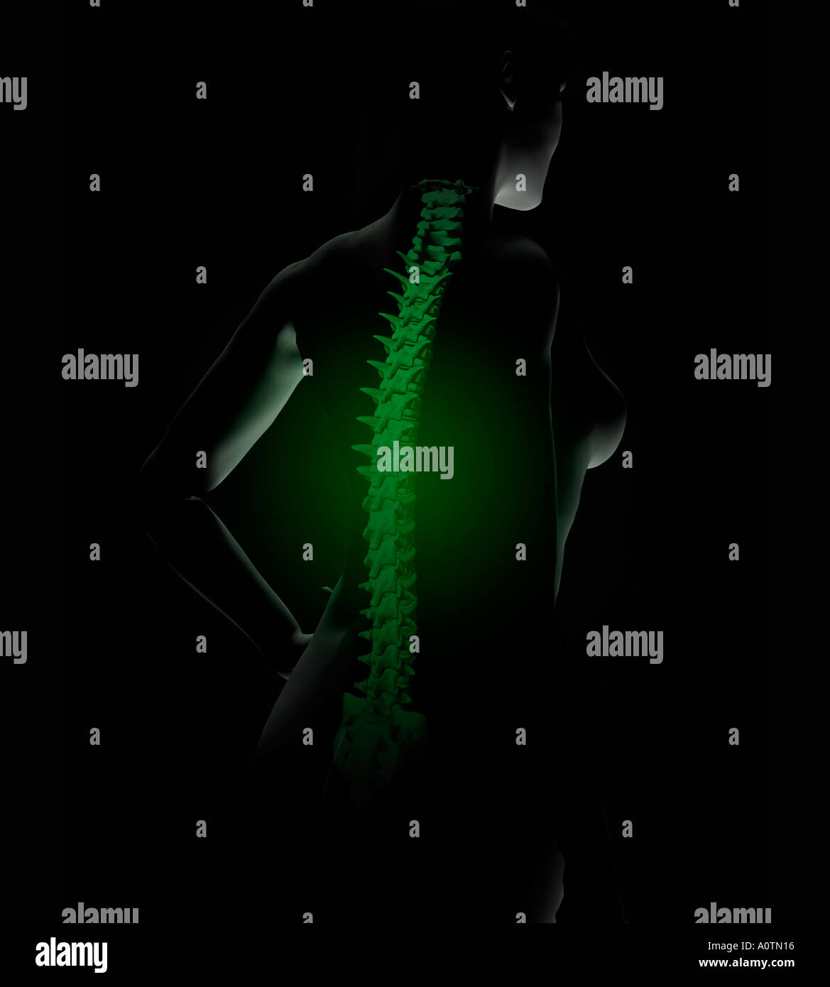 illustration of woman and back bone Stock Photo - Alamy