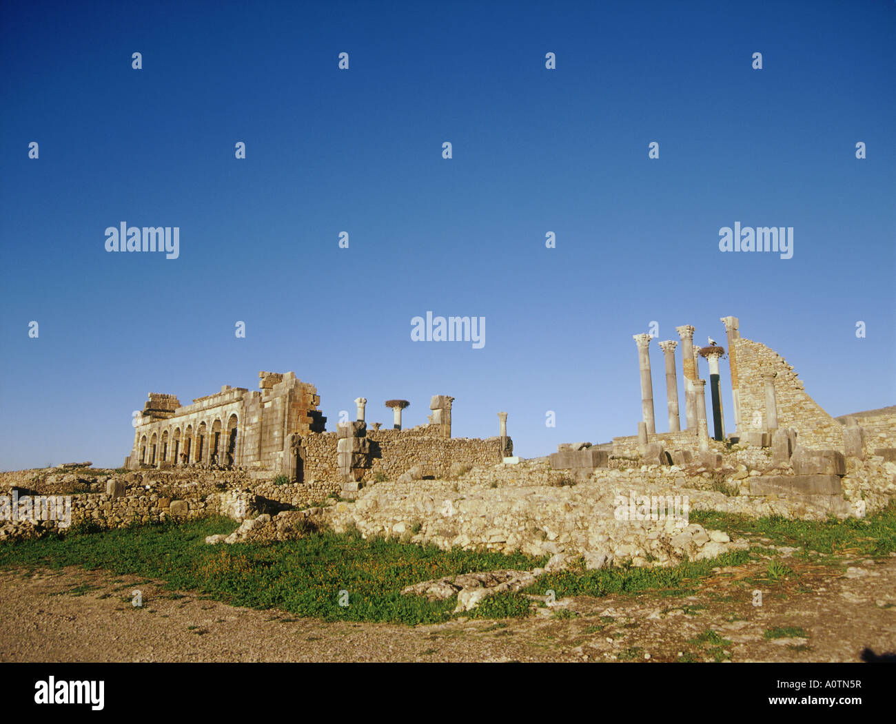 Volubilis ruins World Heritage Stock Photo - Alamy